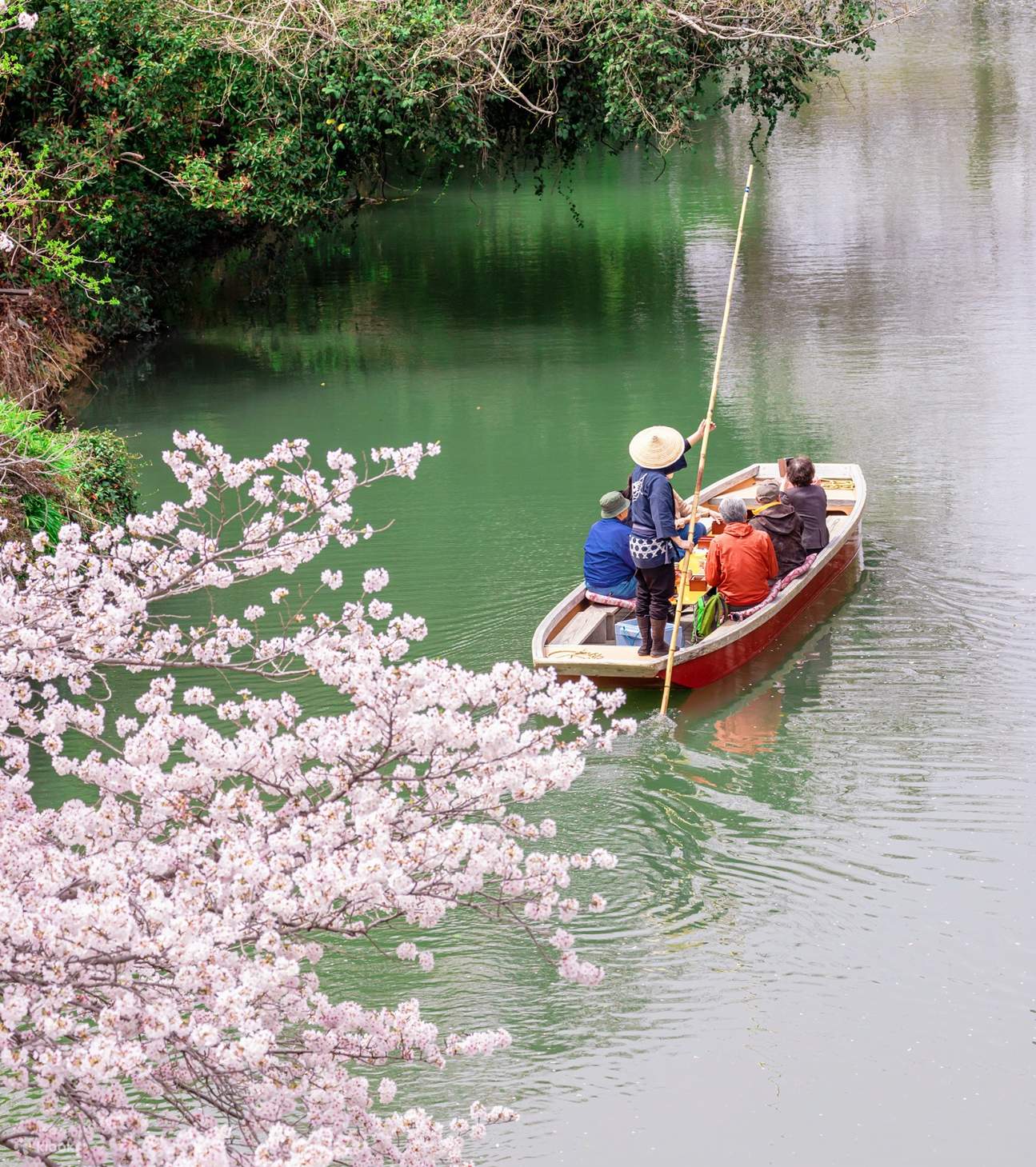Strawberry Picking, Yanagawa, Koiki Shrine, & Dazaifu Day Tour - Klook