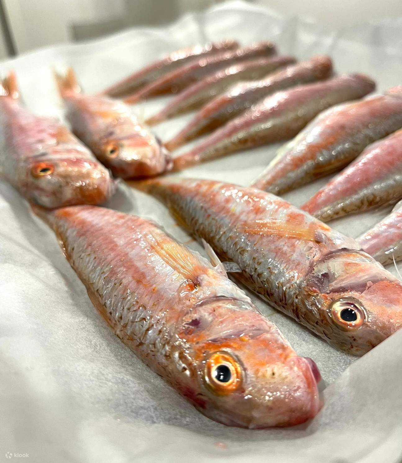 Adriatic Delights: Romagna's Seafood - Klook Malaysia