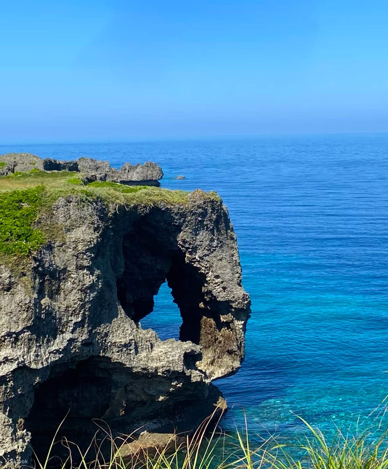 Okinawa Northern Day Tour | Cape Manza & Kouri Island & Churaumi ...