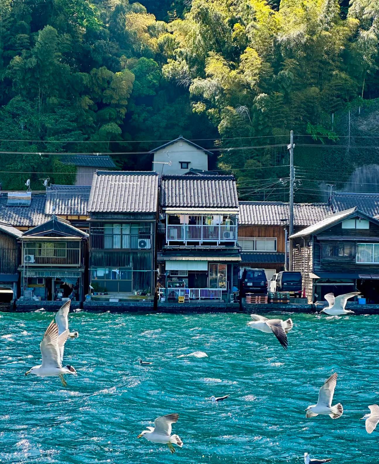 Tur Sehari Tiga Spot Check-in Terpopuler di Kyoto - Amanohashidate, Ine ...