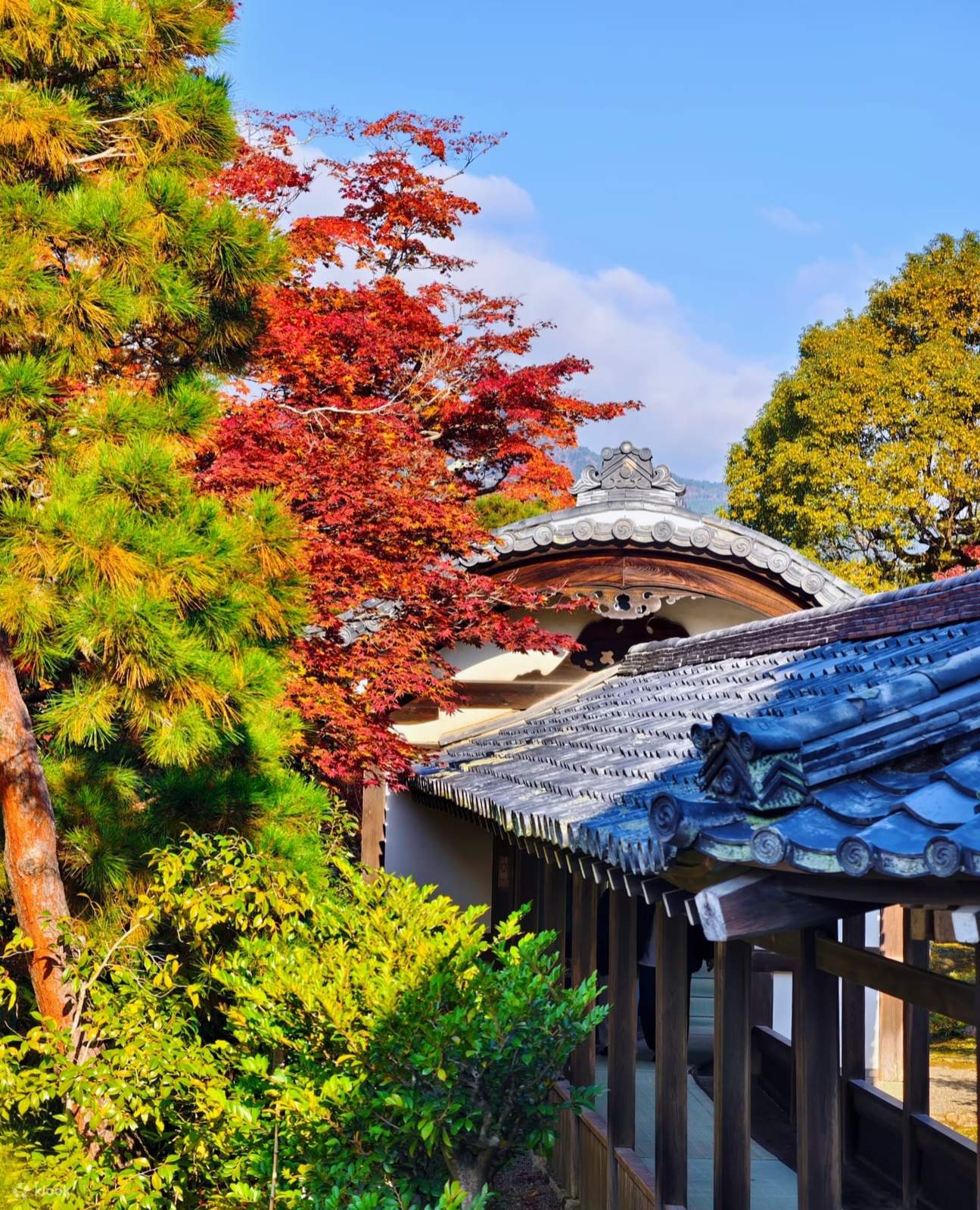 Kyoto one-day private tour (1~4 people) - Klook Australia