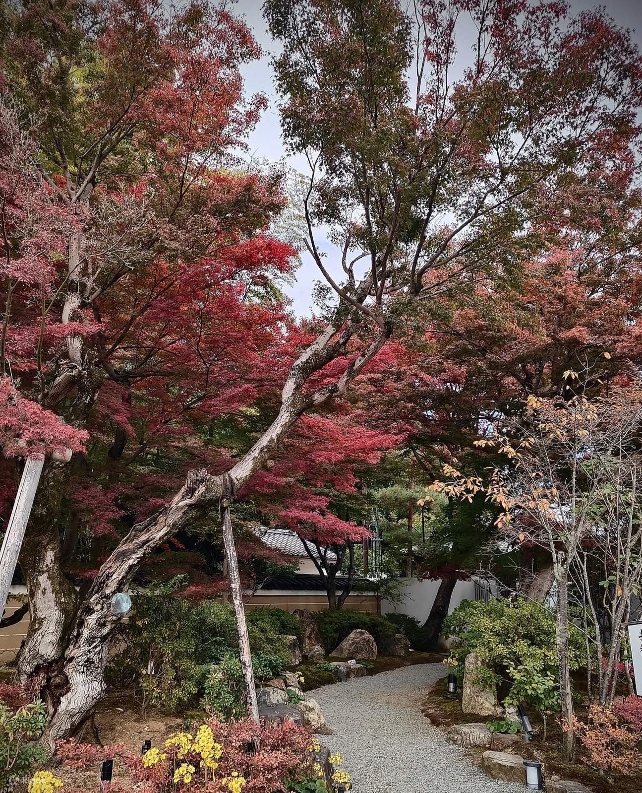 Kyoto one-day private tour (1~4 people) - Klook Canada