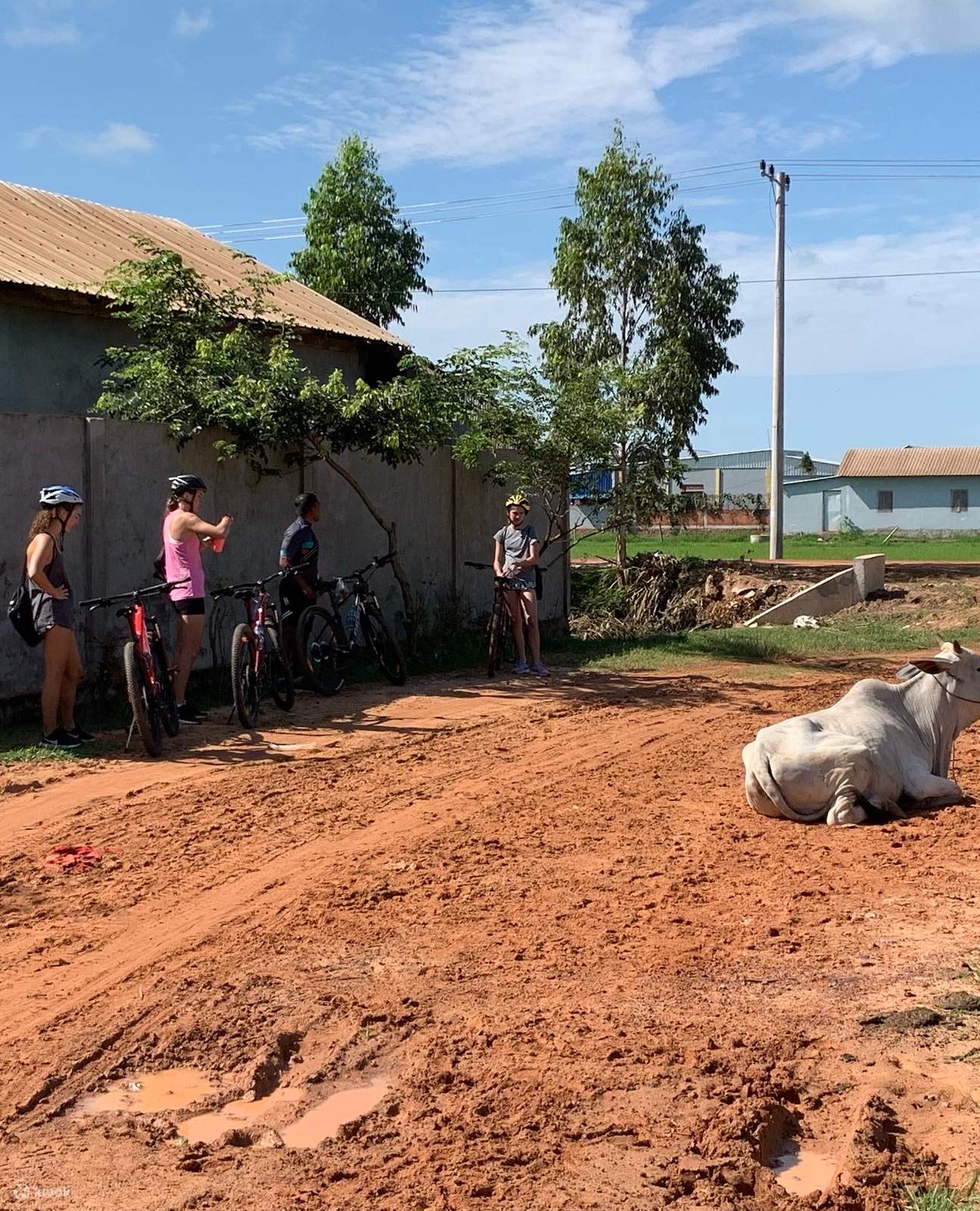 Explore Siem Reap's Charm: Countryside Bike Tour by Siem Reap Bike Tour ...