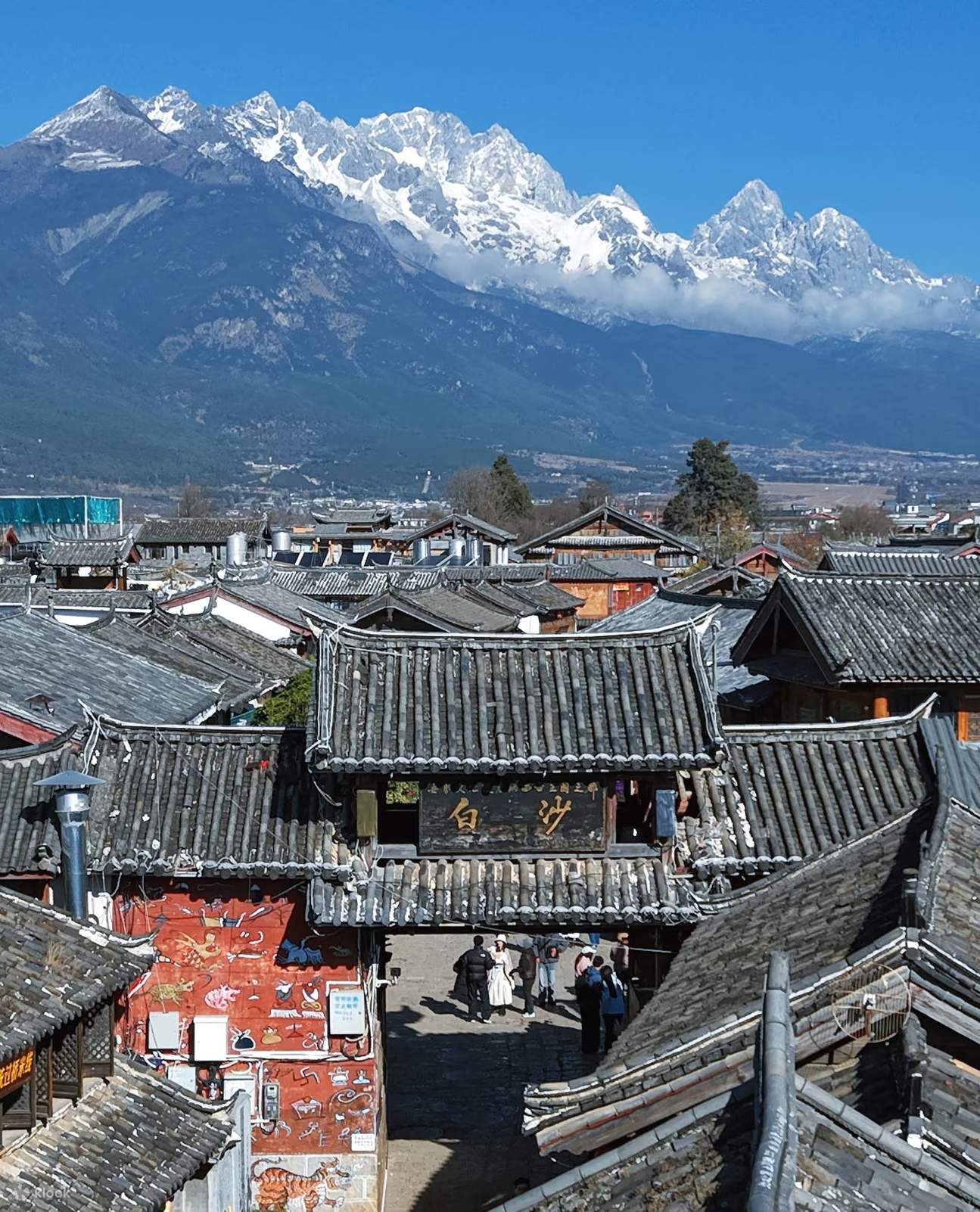 One-day private tour of Jade Dragon Snow Mountain and Baisha Ancient ...