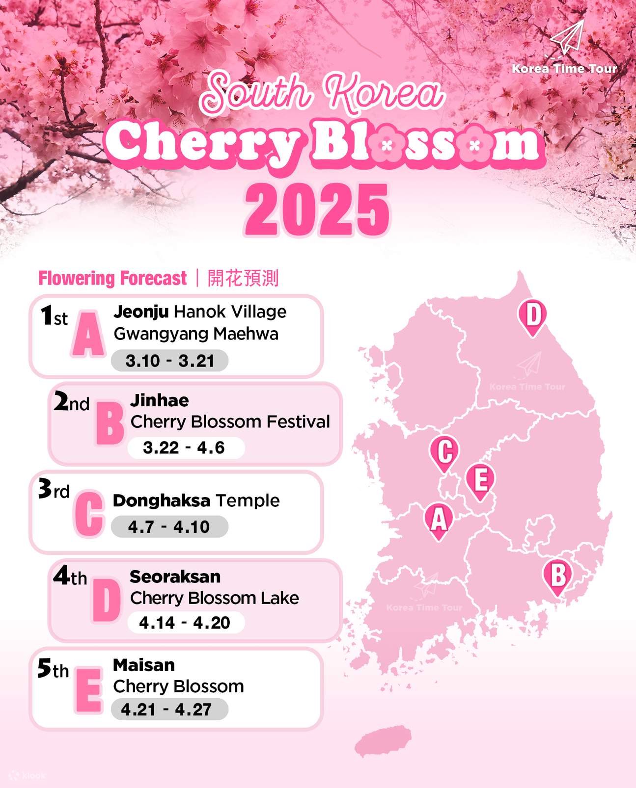 Korea Cherry Blossom Tour from Seoul - Klook
