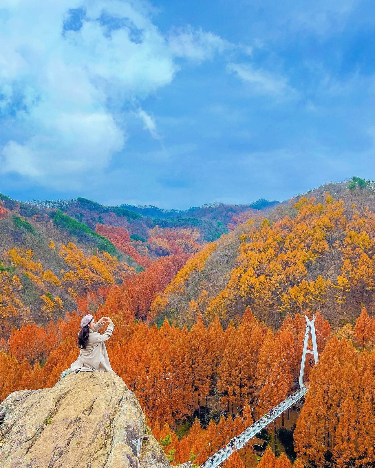 Jeonju Hanok Village & Jangtaesan & Daedunsan Serenity Nature Tour ...