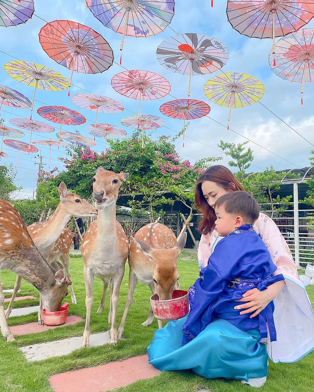 Yilan: Farmer Green Onion Experience Farm - Three Star Green Onion ...