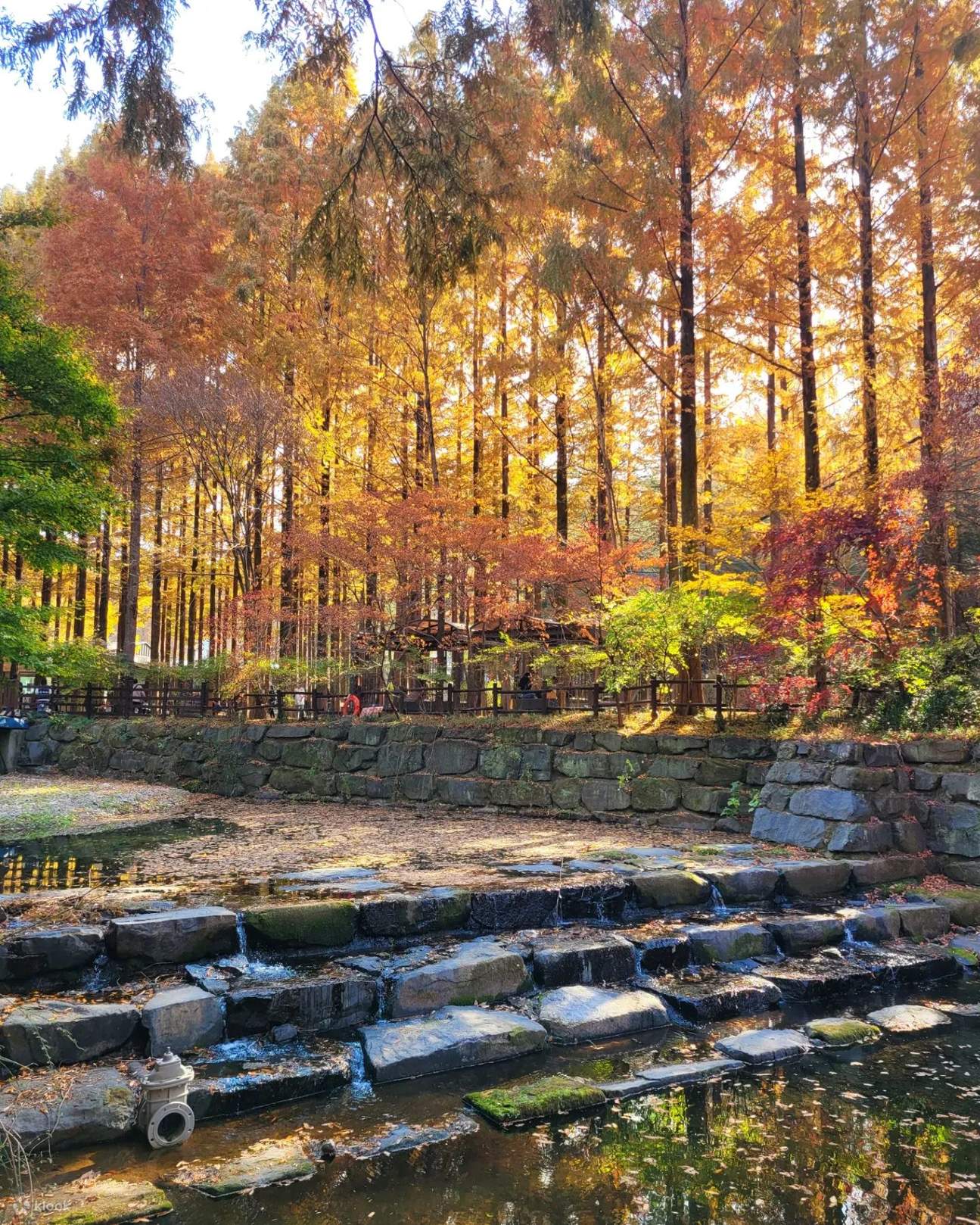 Jeonju Hanok Village & Jangtaesan & Daedunsan Serenity Nature Tour ...