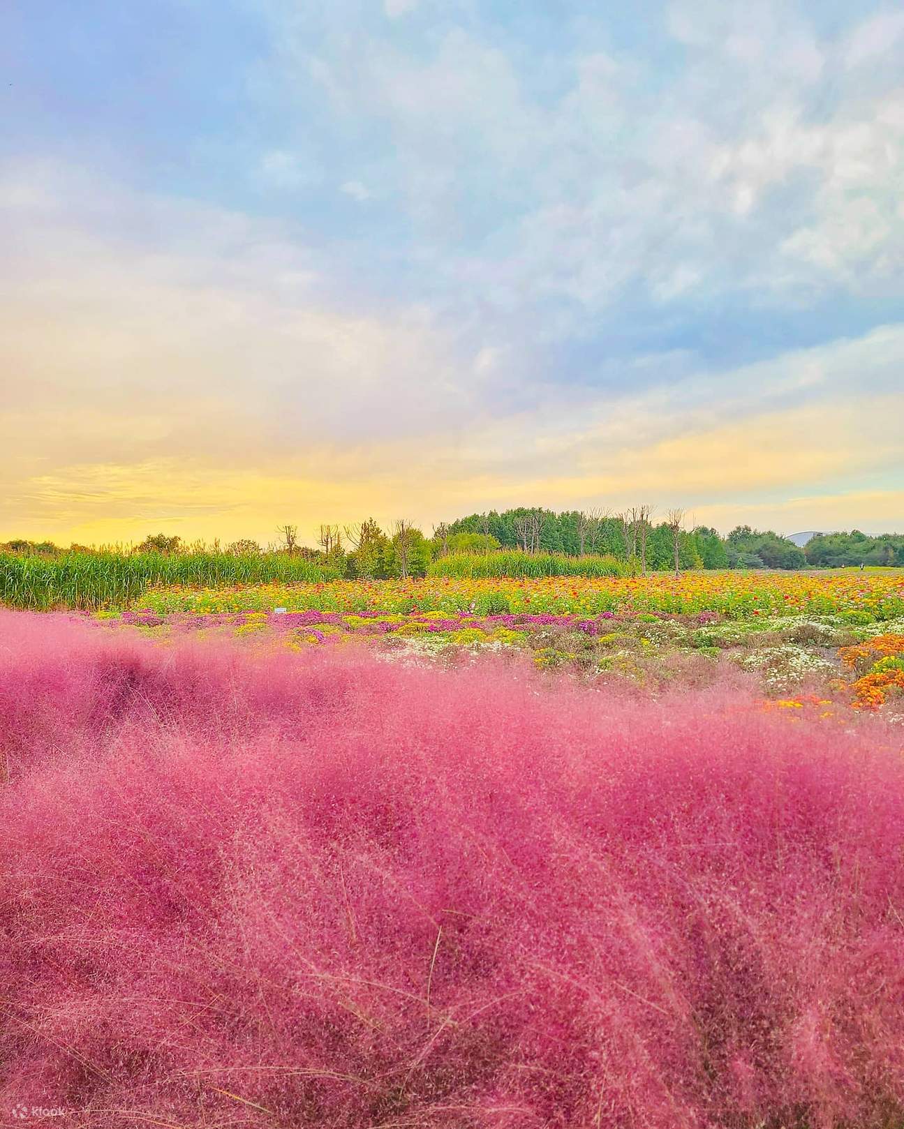 Incheon Sunset in Outdoor Hot Springs & Bomun Temple & Dream Park - Klook