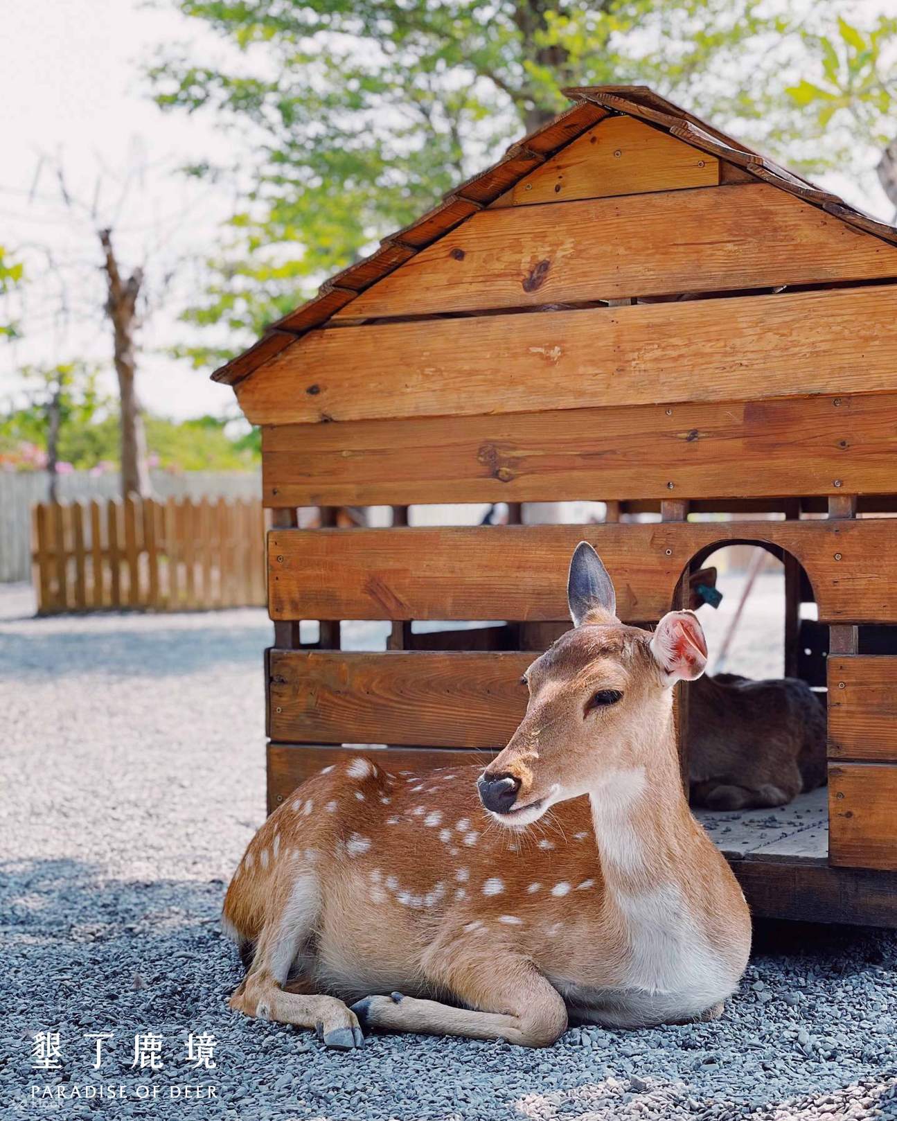 Paradise of Deer Admission Ticket - Kenting, Taiwan - Klook Malaysia