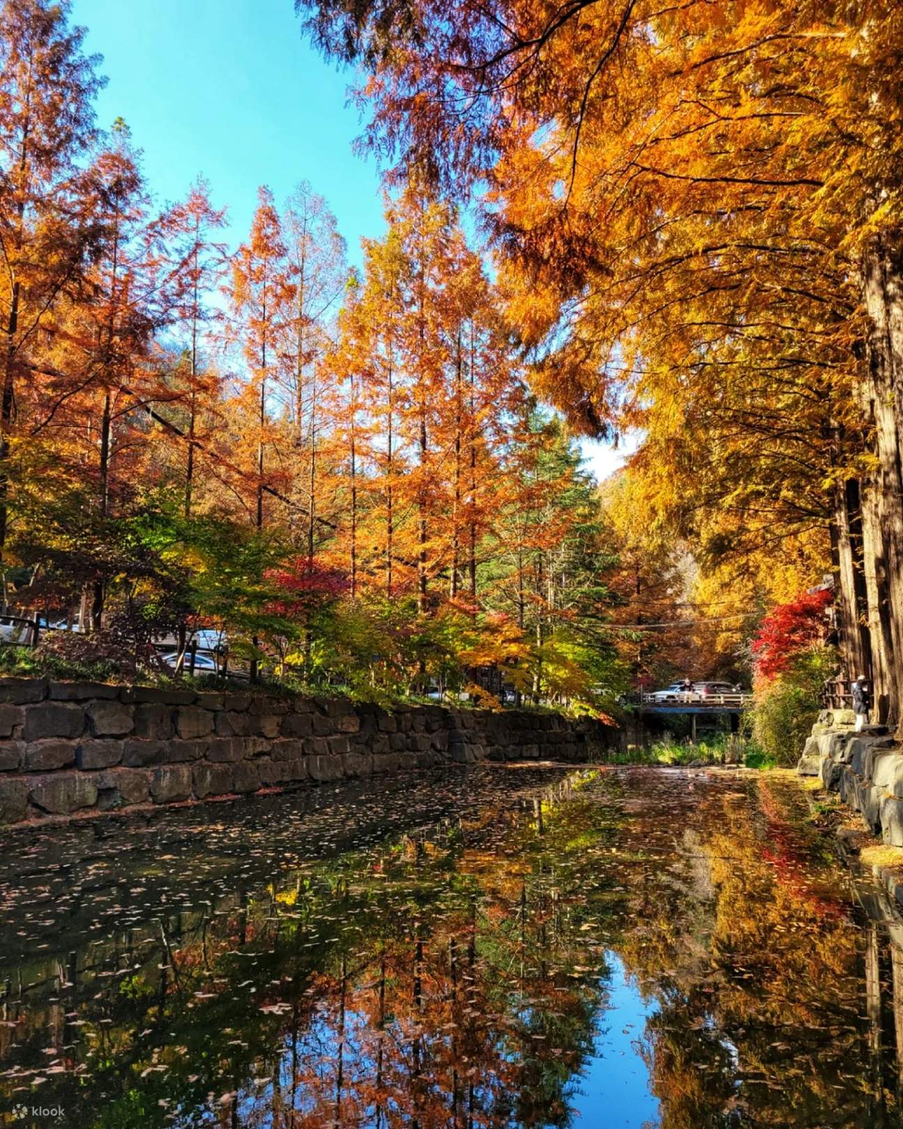 Jeonju Hanok Village & Jangtaesan & Daedunsan Serenity Nature Tour ...