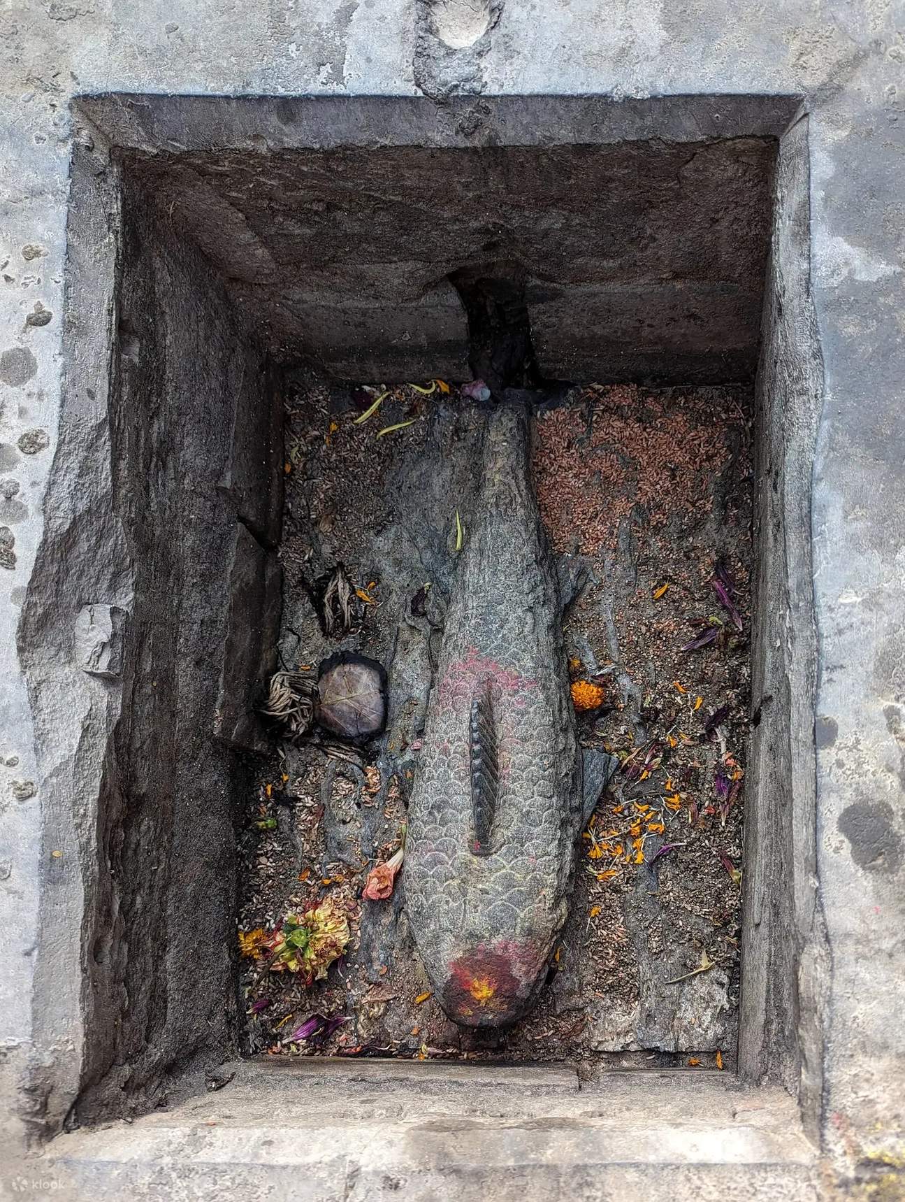 From Bazaar to Hippie Hub: Ason & Freak Street Tour - Klook Hong Kong