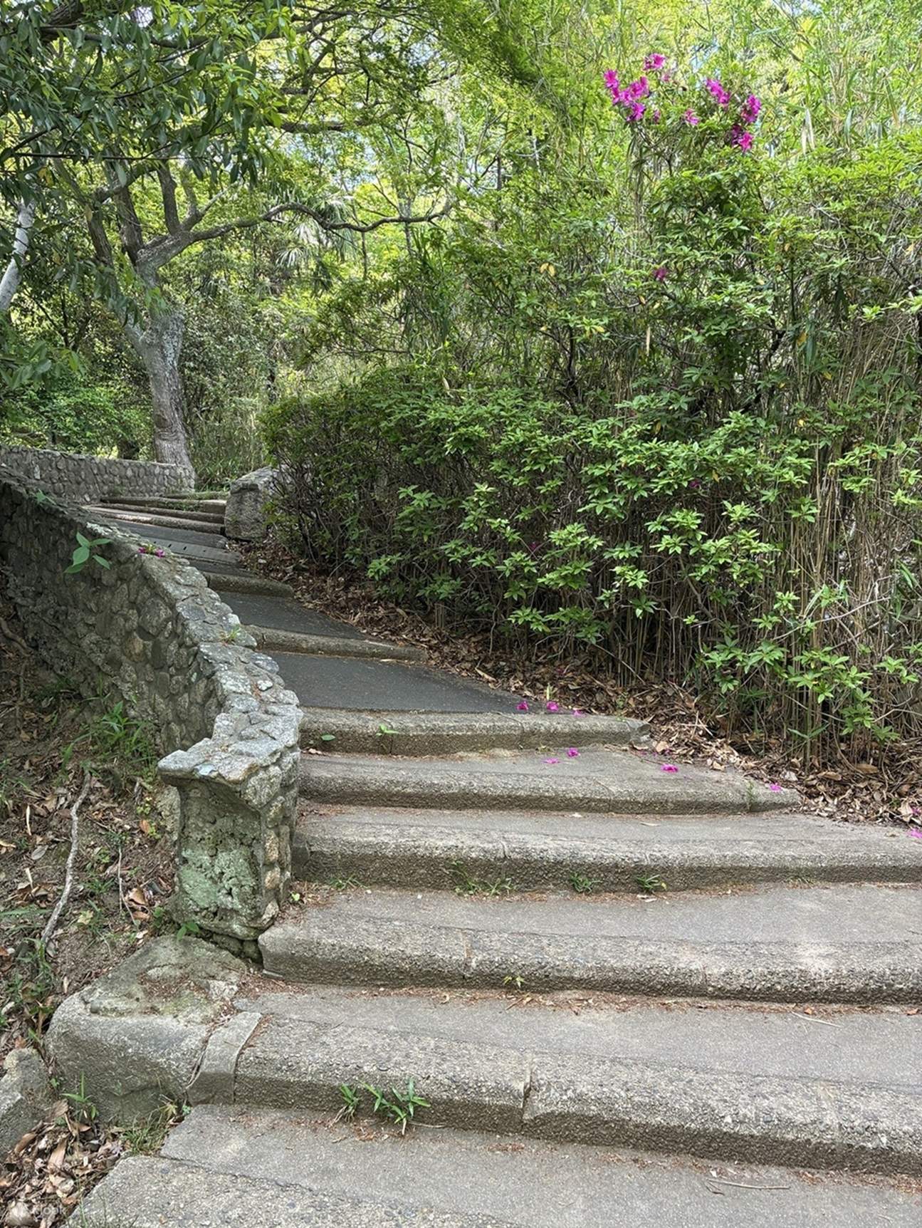 Night Hiking and Attractive Restaurants - Klook Philippines