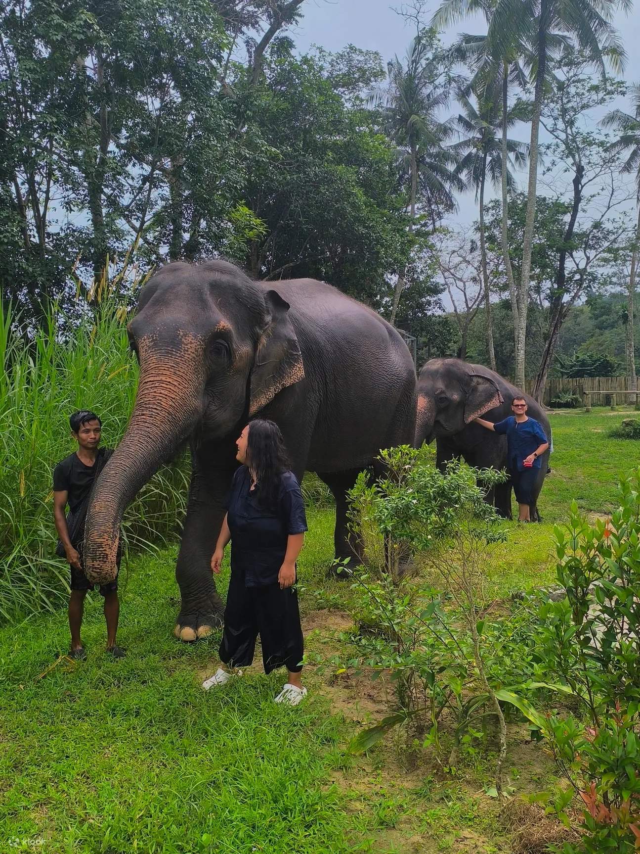 Trunk & Soul Elephant Home Phuket Experience - Klook Hong Kong