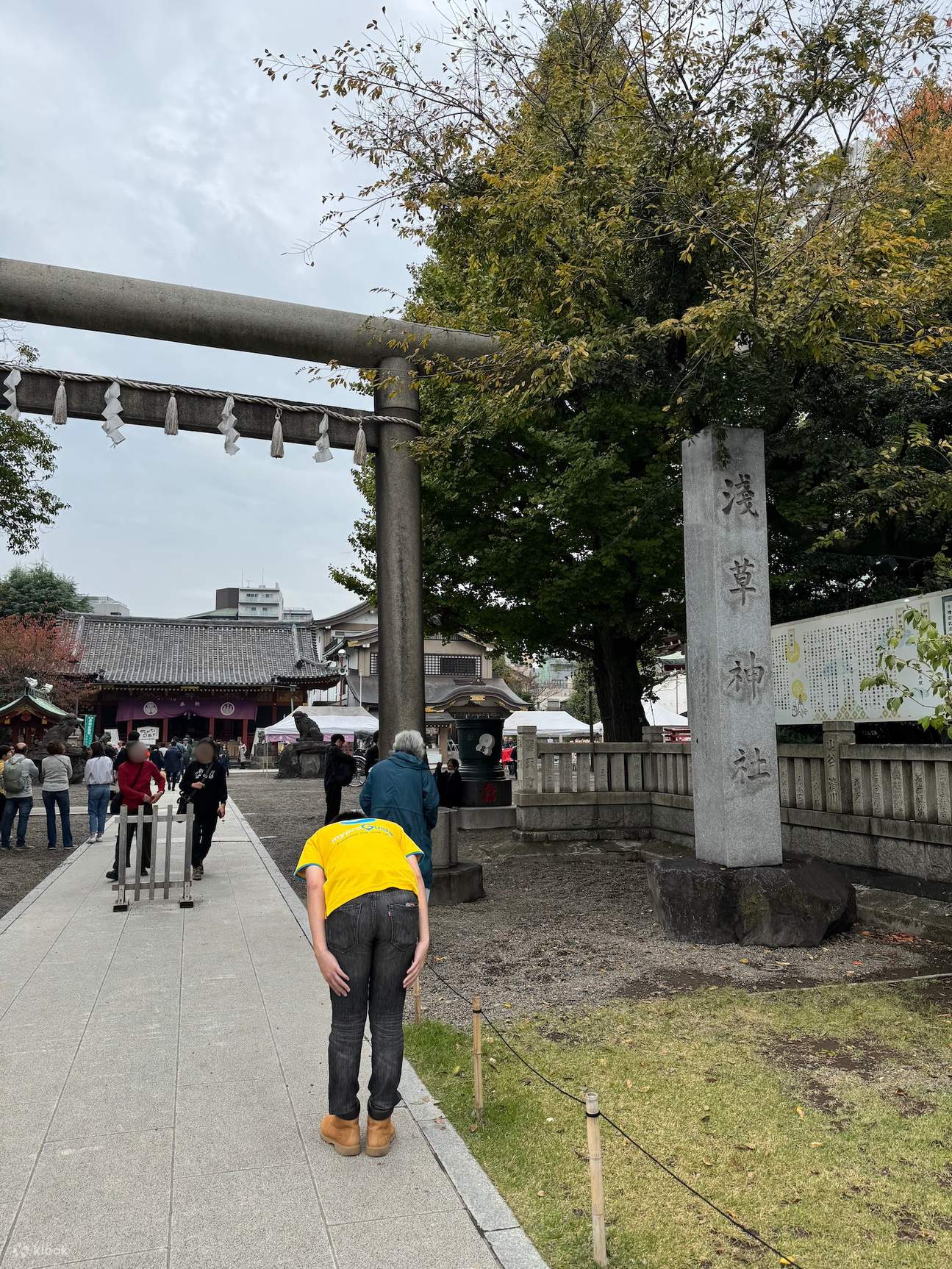 Tokyo City, Sensoji, Imado & Akiba Shrine Goshuin Half-day Tour - Klook