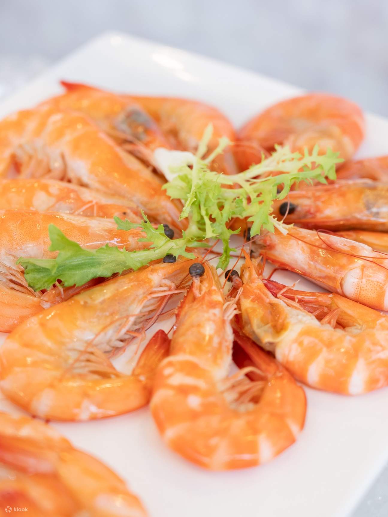 Symphony of Lights Semi Dinner Buffet - Klook The Bahamas