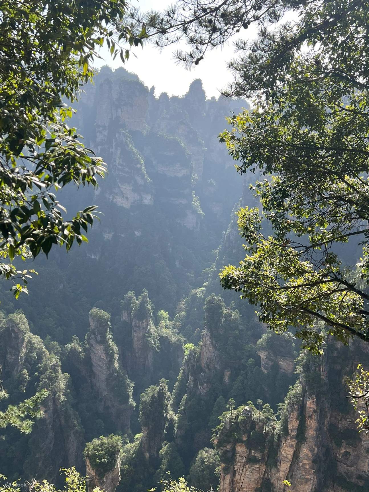 Zhangjiajie National Forest Park Ticket + Three Cable Cars & One ...