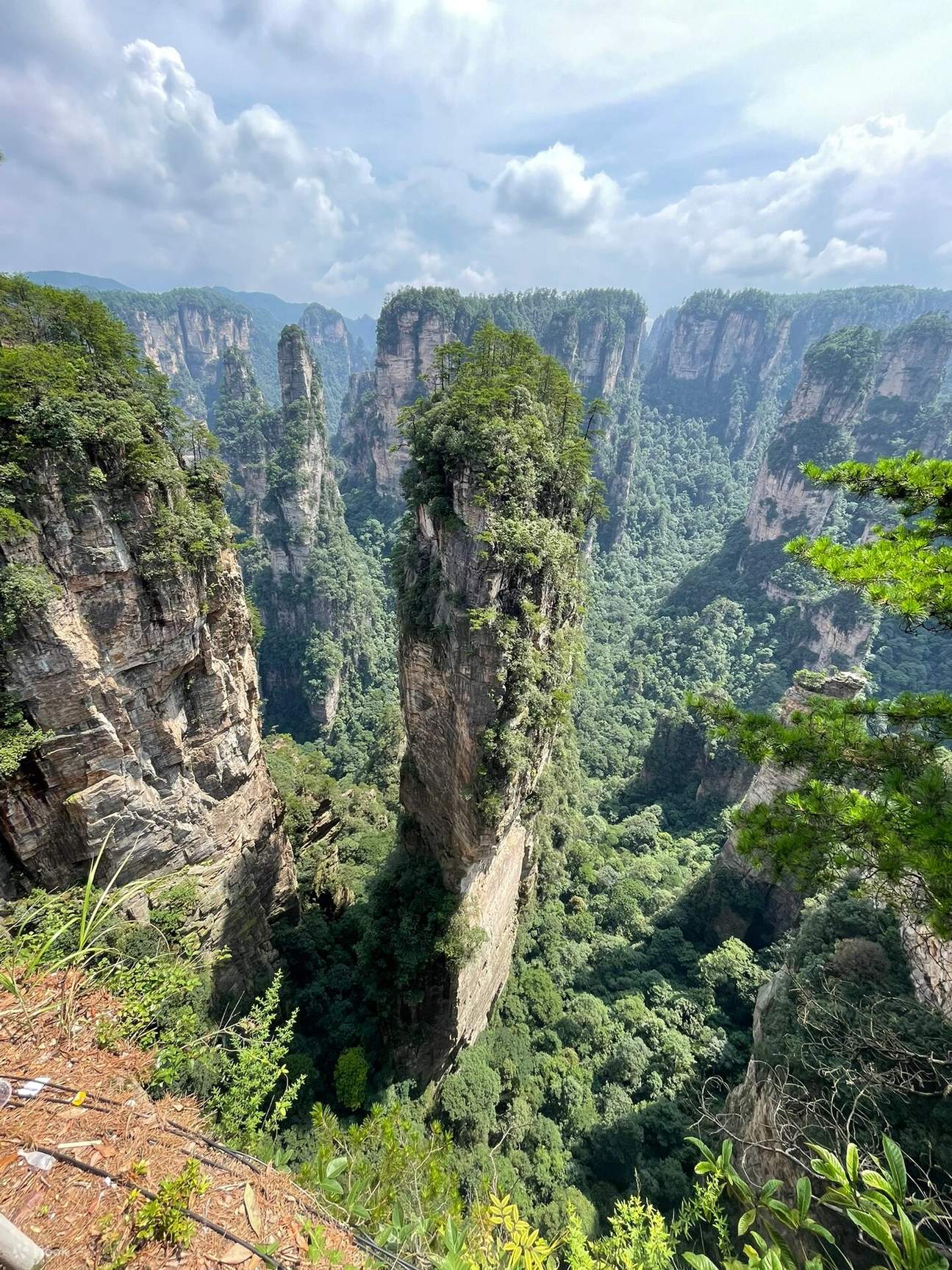 Tiket Taman Hutan Nasional Zhangjiajie + Peta Elektronik Wisata ...