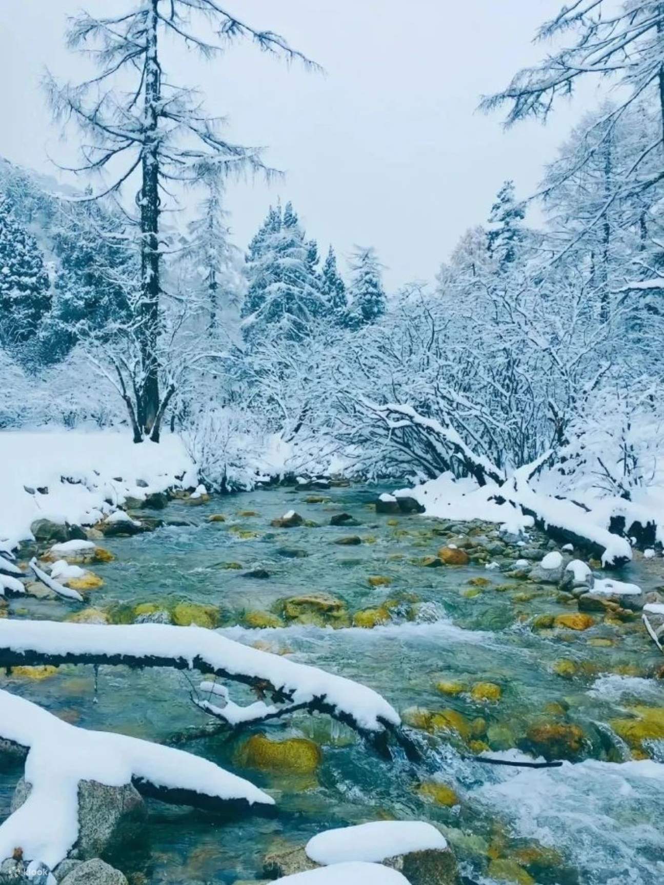 3-day tour in western Sichuan (Bipenggou + Siguniang Mountain + Dagu ...