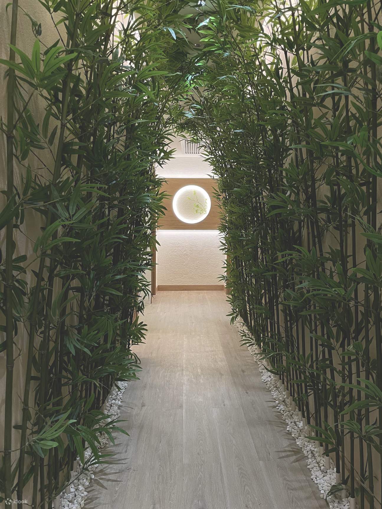 Ginkgo Beauty Spa & Massage Experience in Causeway Bay - Klook Canada