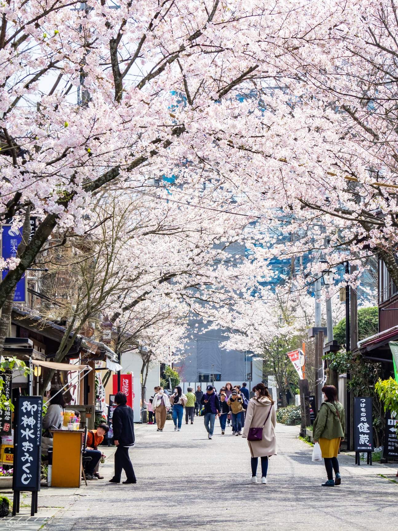 Reservasi online untuk tur bersepeda Kumamoto Aso - Klook Indonesia