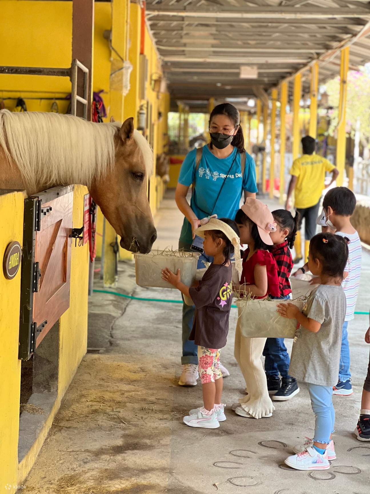 Tiket Masuk Countryside Stables Penang - Klook Indonesia