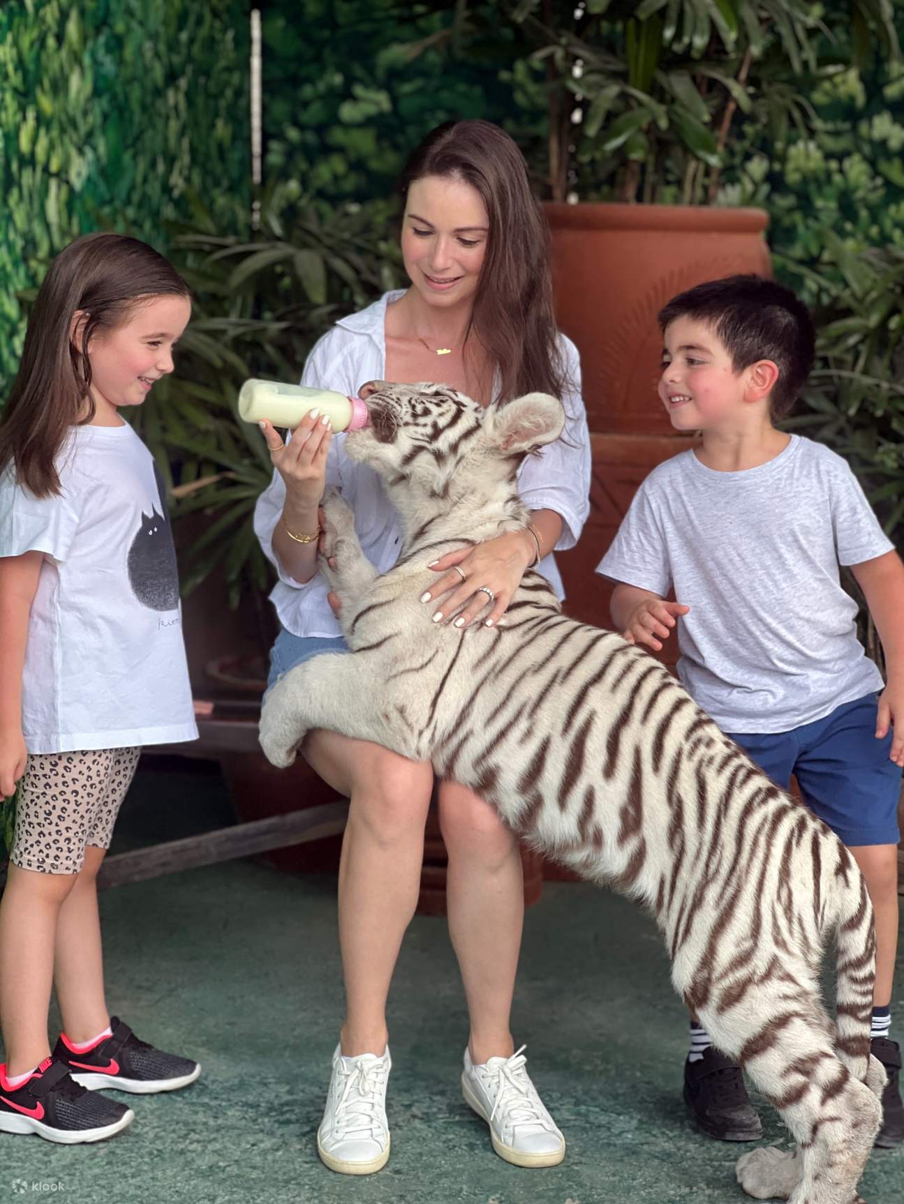 Clark Safari and Adventure Park Ticket - Klook 客路