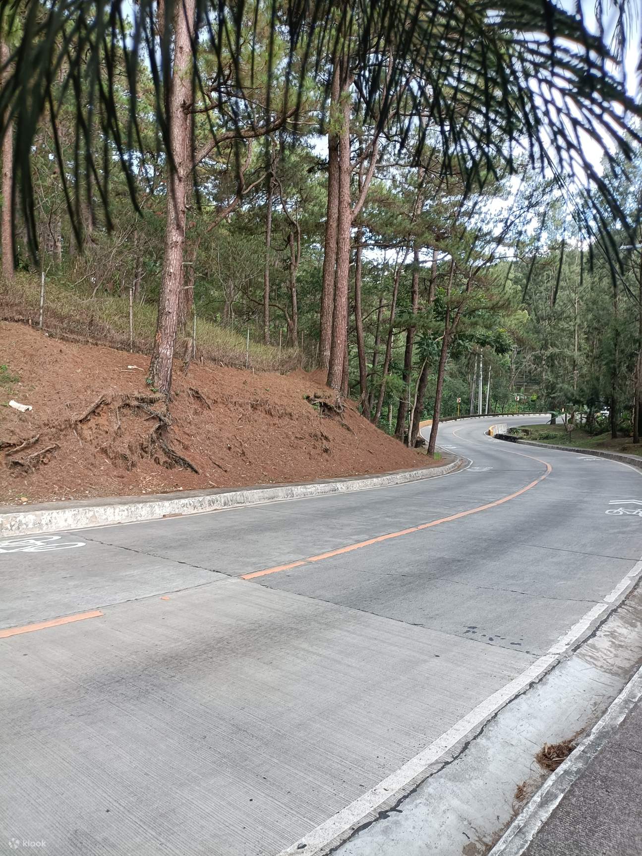 Dark Tourism in Baguio - Klook