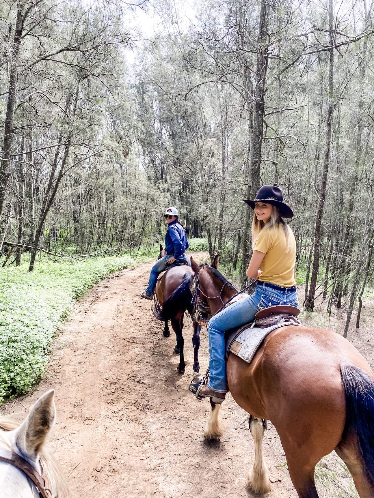 Hunter Valley Day Tours and Experiences - Klook Australia