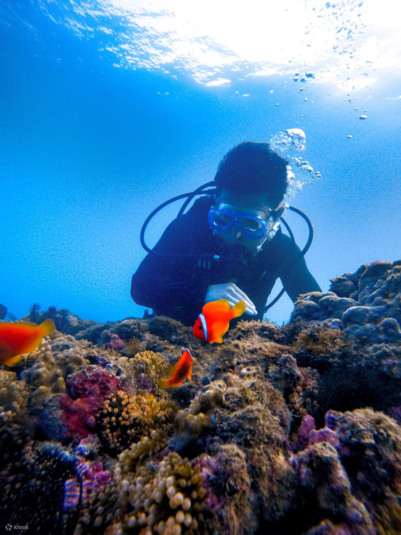 Pingtung Kenting｜Scuba diving (no license required)｜After class can be ...