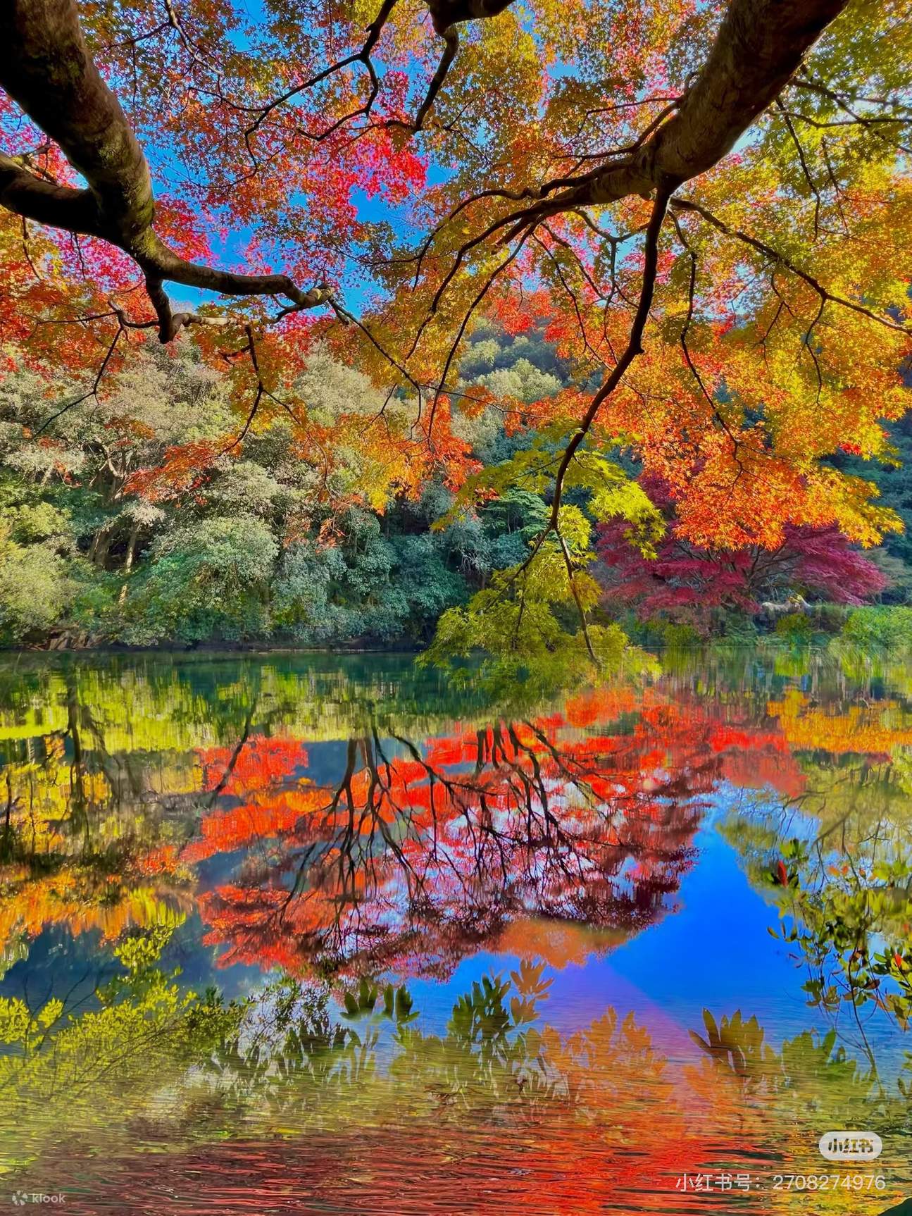 Hangzhou Shililangdang Classic One-Day Hiking Tour: Nine Creeks and ...