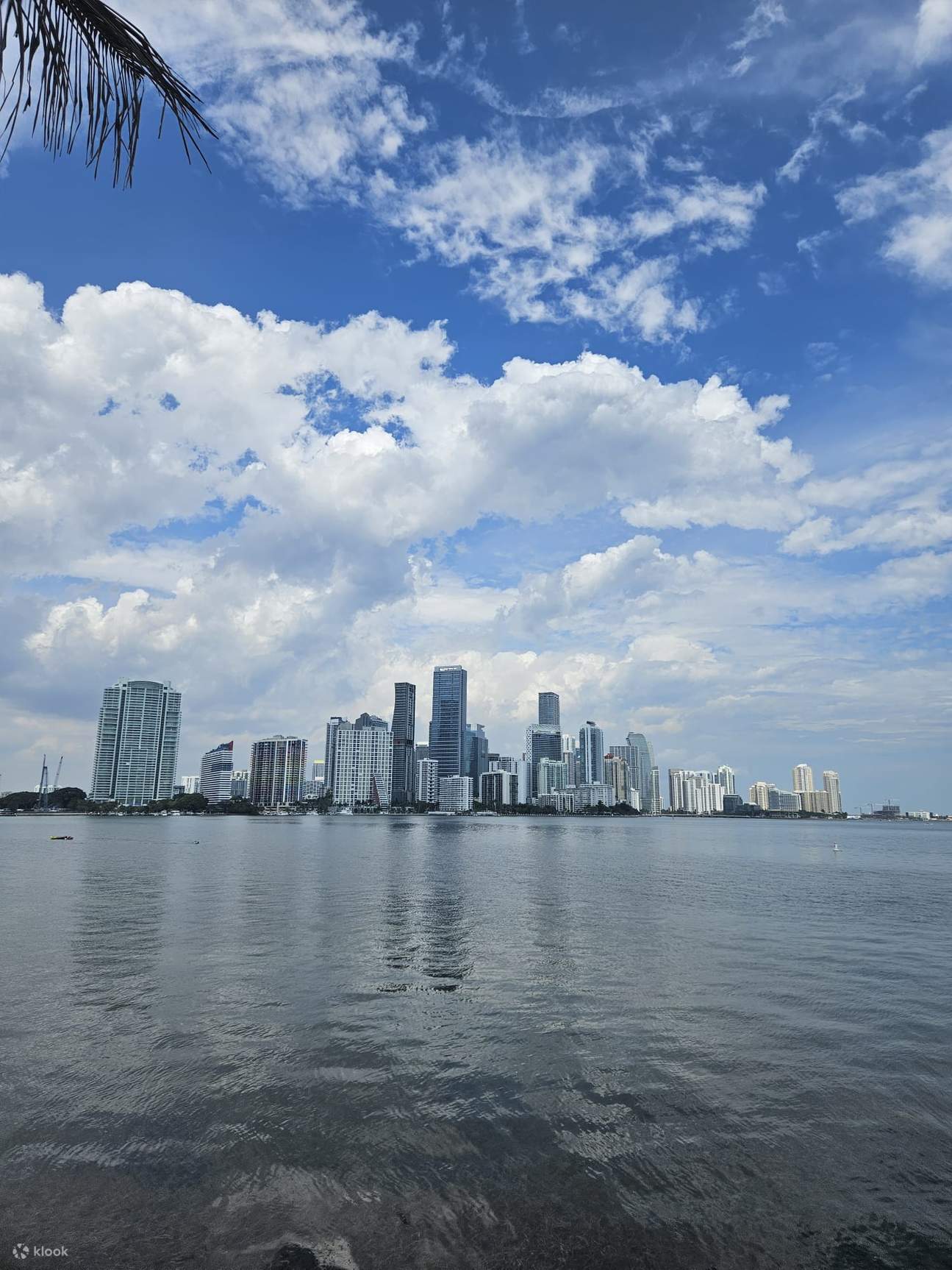 Miami Join In Half Day Amazing Sightseeing Bus and Boat Tour - Klook India