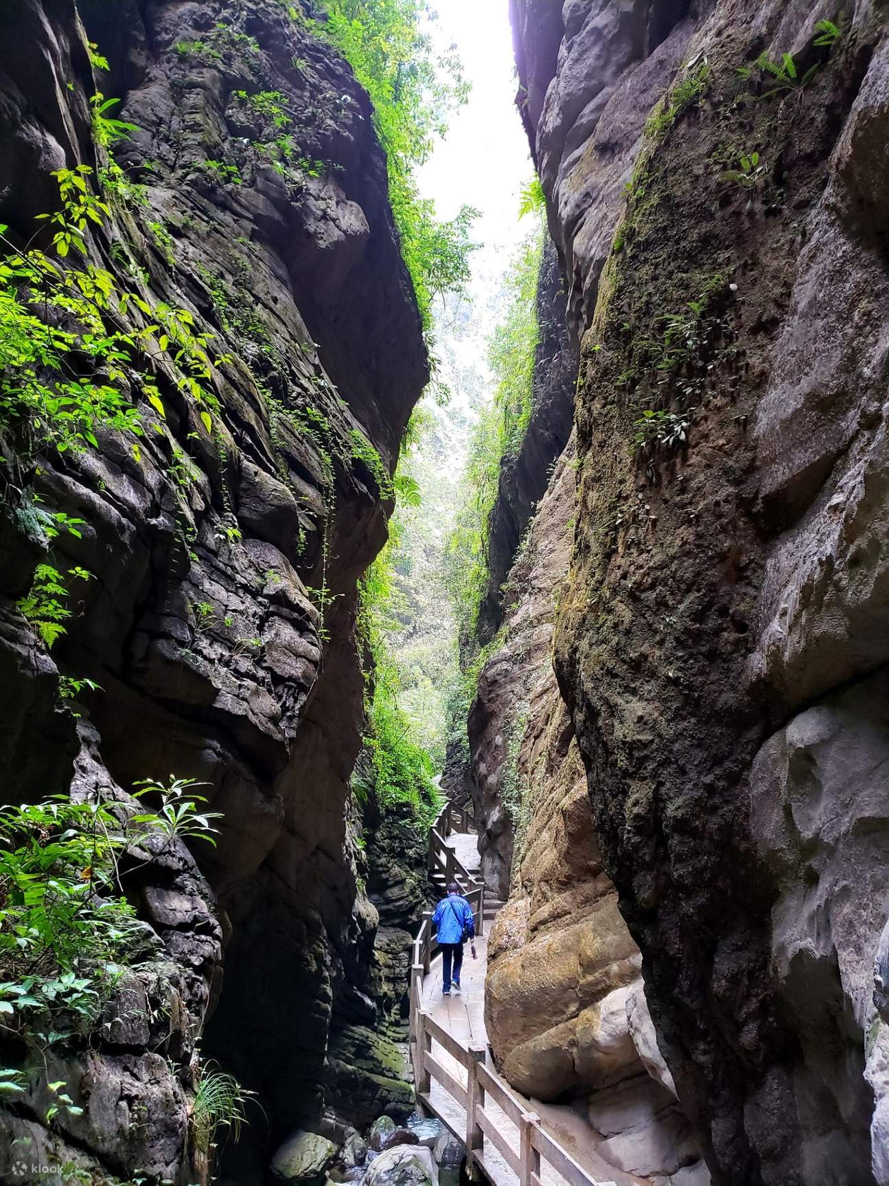 Chongqing Wulong Chinese and English tour guide private group one-day ...