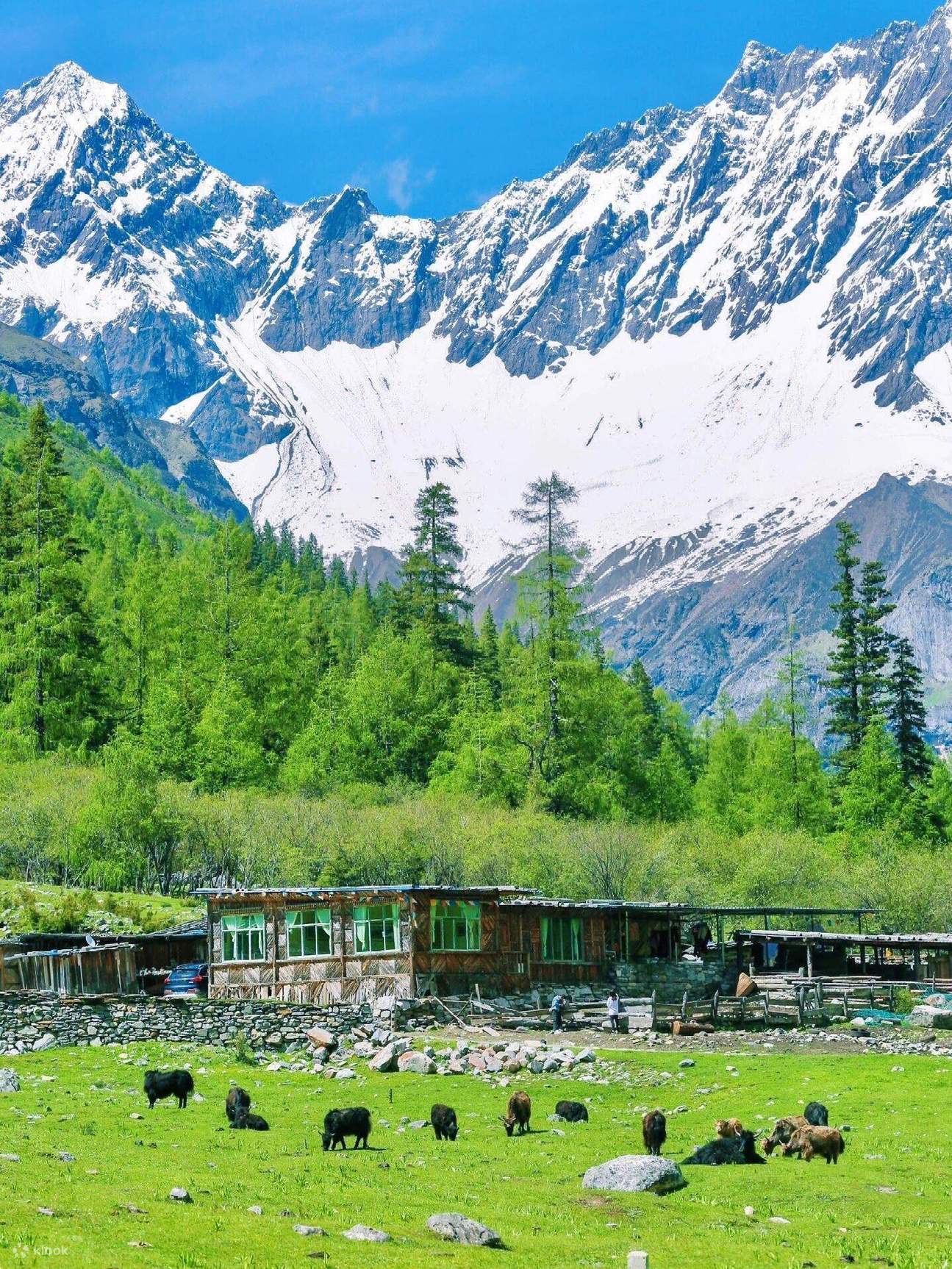 6-Day Western Sichuan Classic Loop Tour (Shuangqiaogou in Siguniang ...