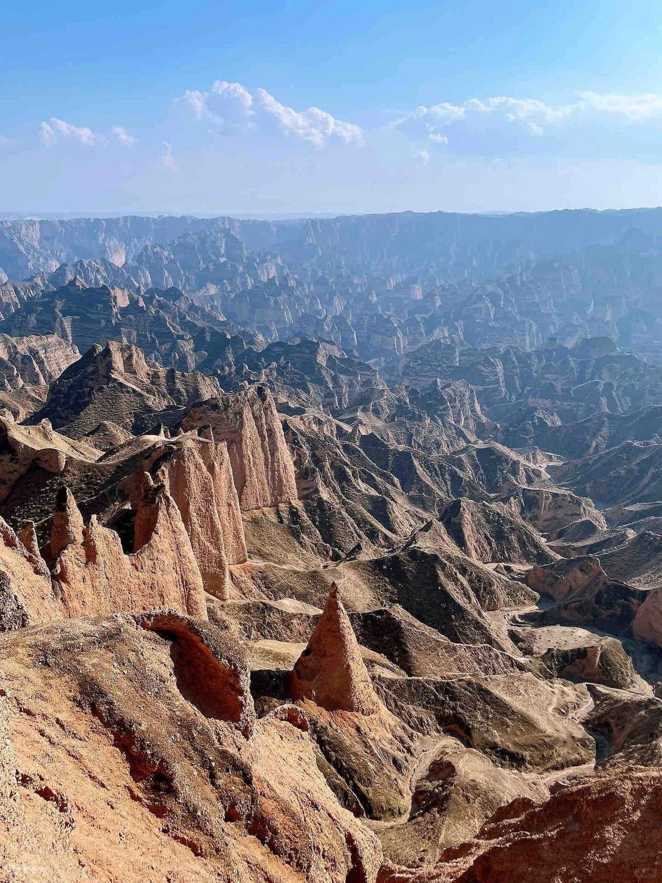One-Day Tour from Lanzhou: Yellow River Stone Forest National ...