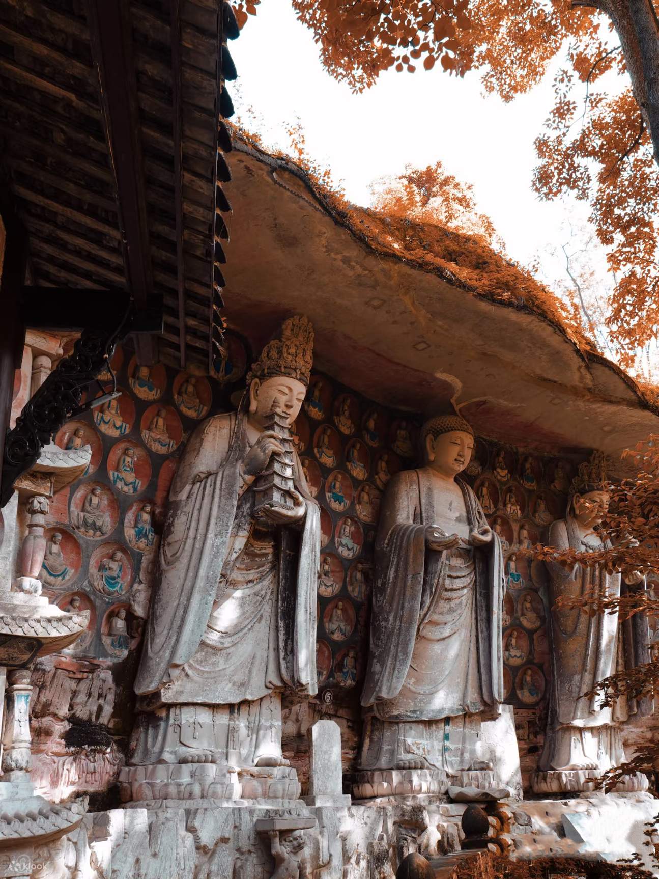 Chongqing Dazu Rock Carvings Baodingshan Pure Day Tour (Baodingshan ...