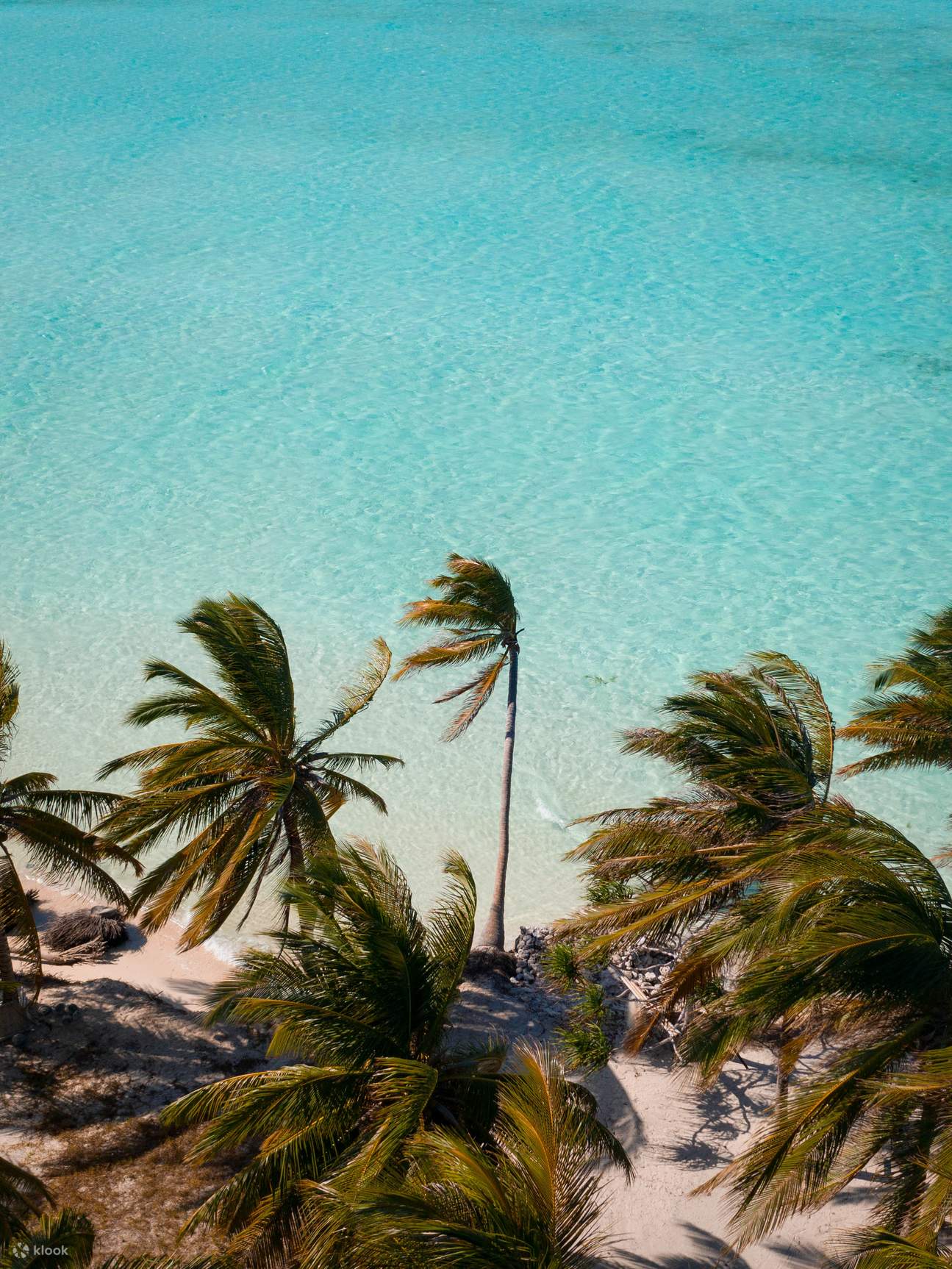 Balabac Tour A Islands - Klook Canada