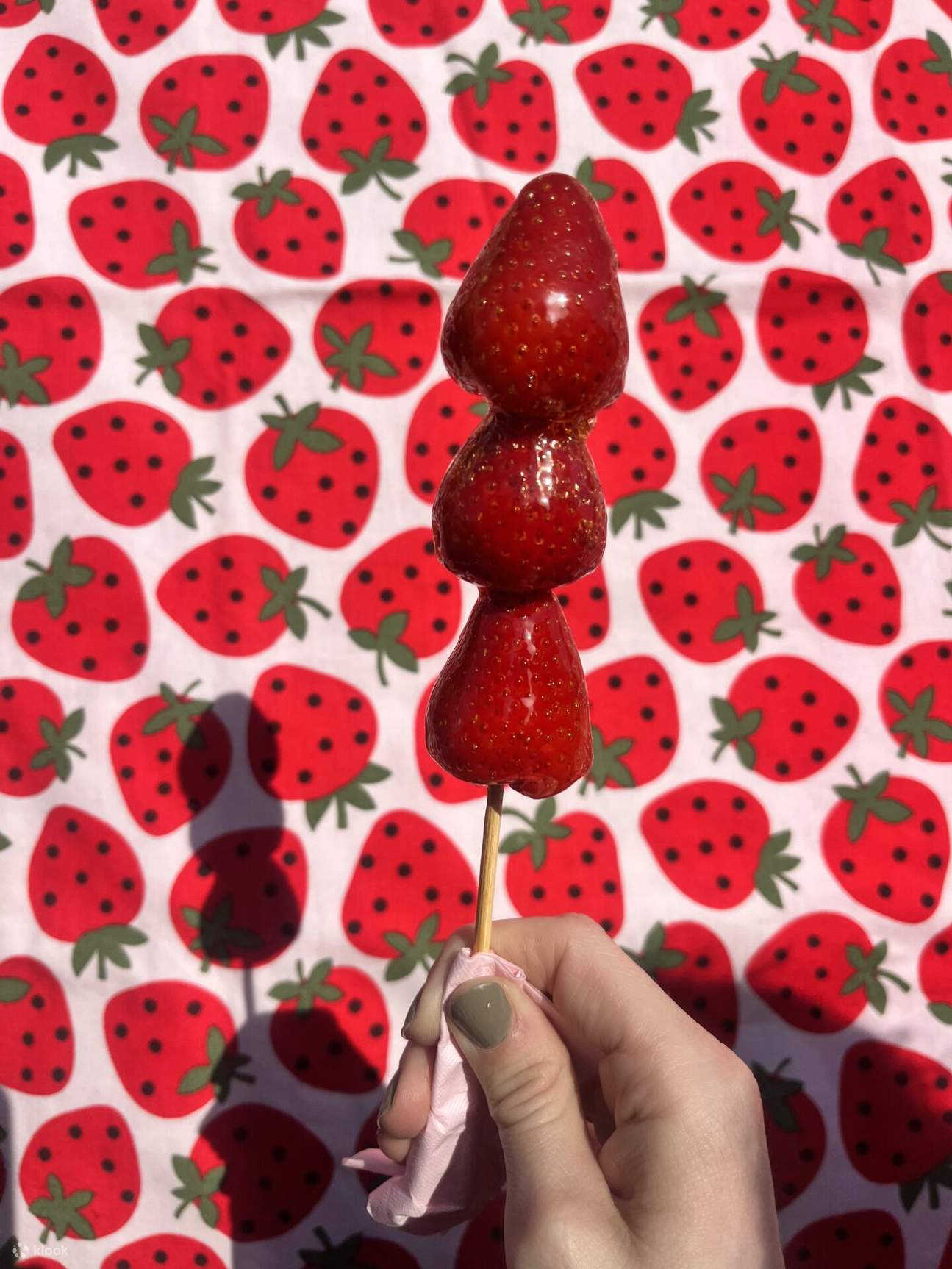 1-Tages-Tour nach Kamakura und Enoshima: Schreine, Küste, Tempel und ...