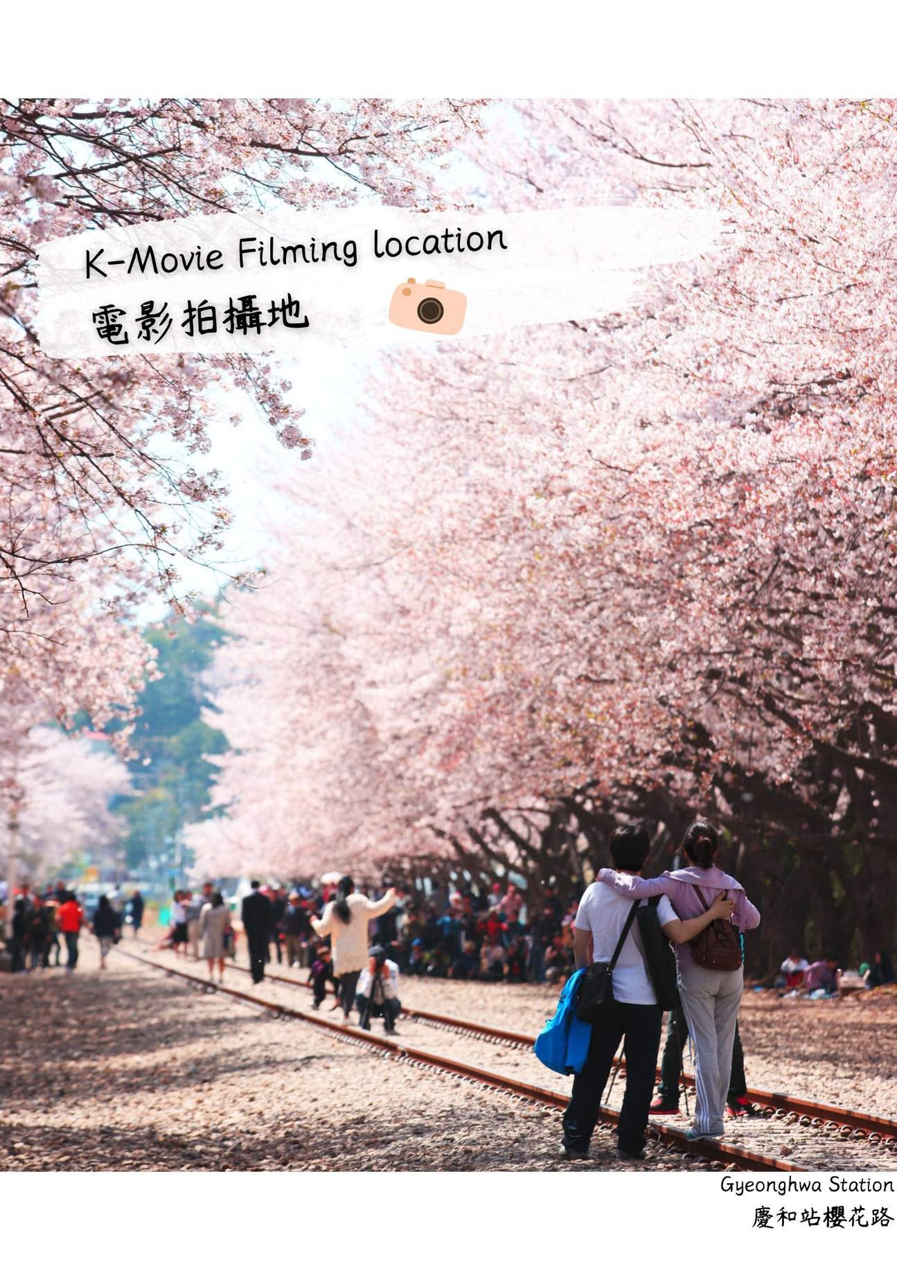 Jelajah Jinhae Cherry Blossom dari Busan - Klook Amerika Syarikat