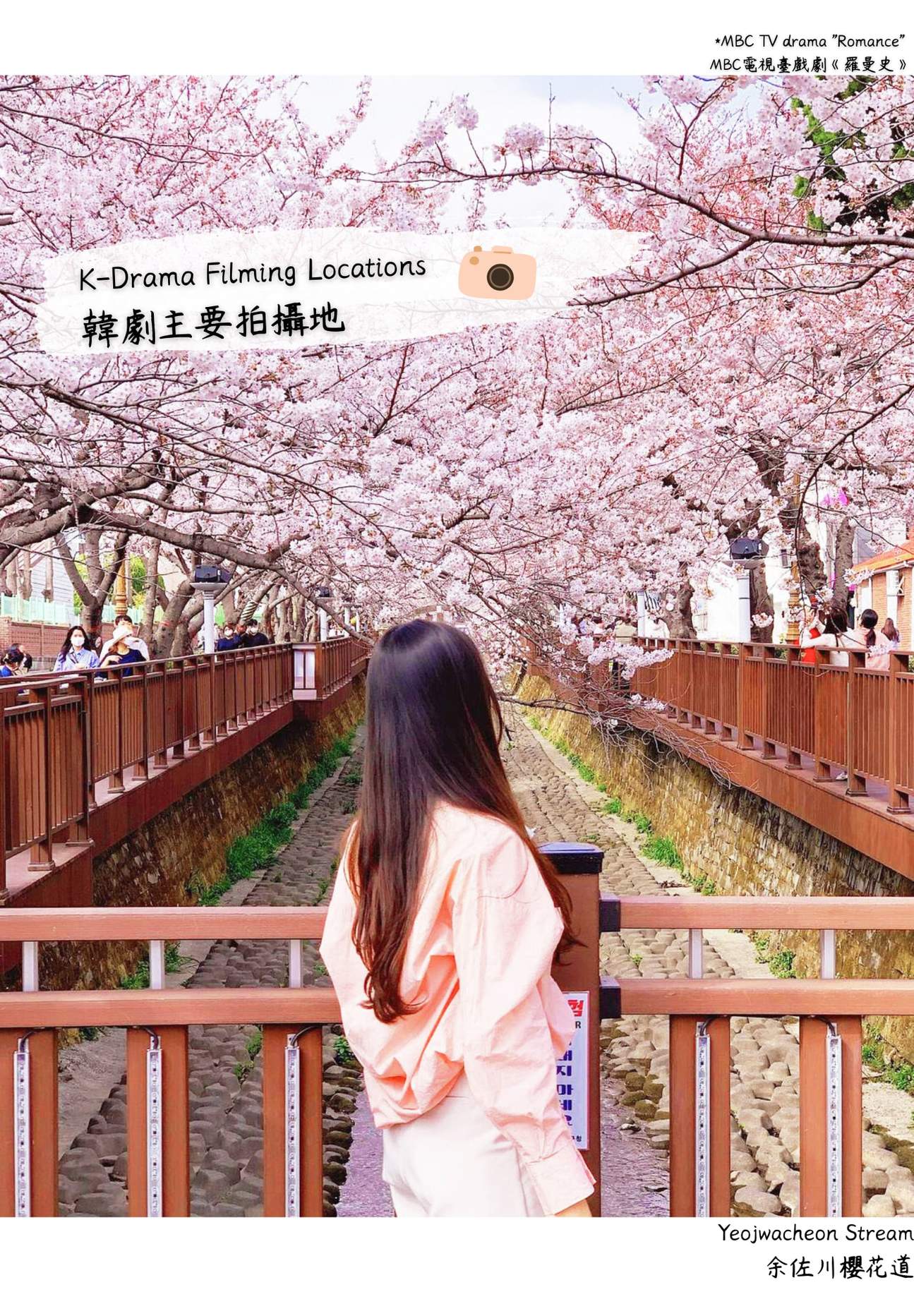 Jelajah Jinhae Cherry Blossom dari Busan - Klook Amerika Syarikat