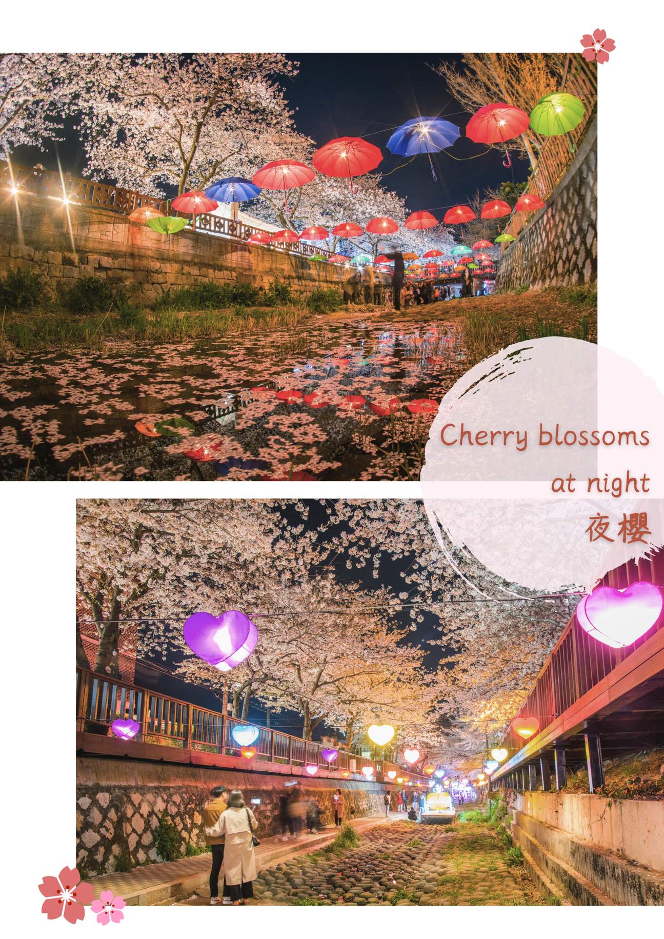 Jelajah Jinhae Cherry Blossom dari Busan - Klook Amerika Syarikat