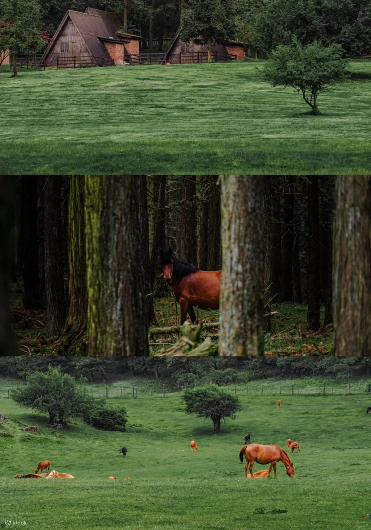 Wulong, Chongqing Private 2-Day Tour (Three Natural Bridges + Longshui ...