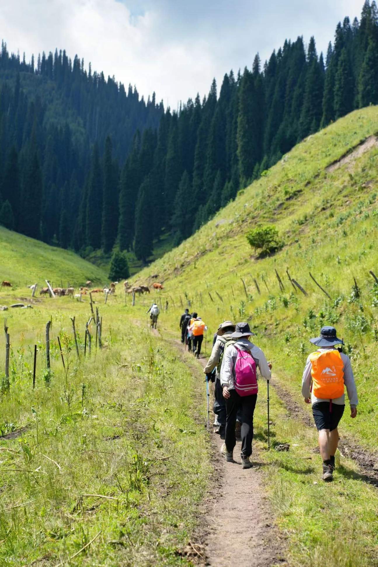 Xinjiang Kalajun Grand Loop Hiking Tour 7-Day (Kakitangan khusus untuk ...