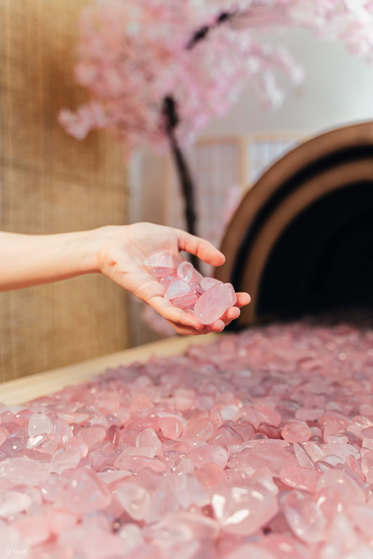 Full Moon Health Spa Experience in Causeway Bay - Klook