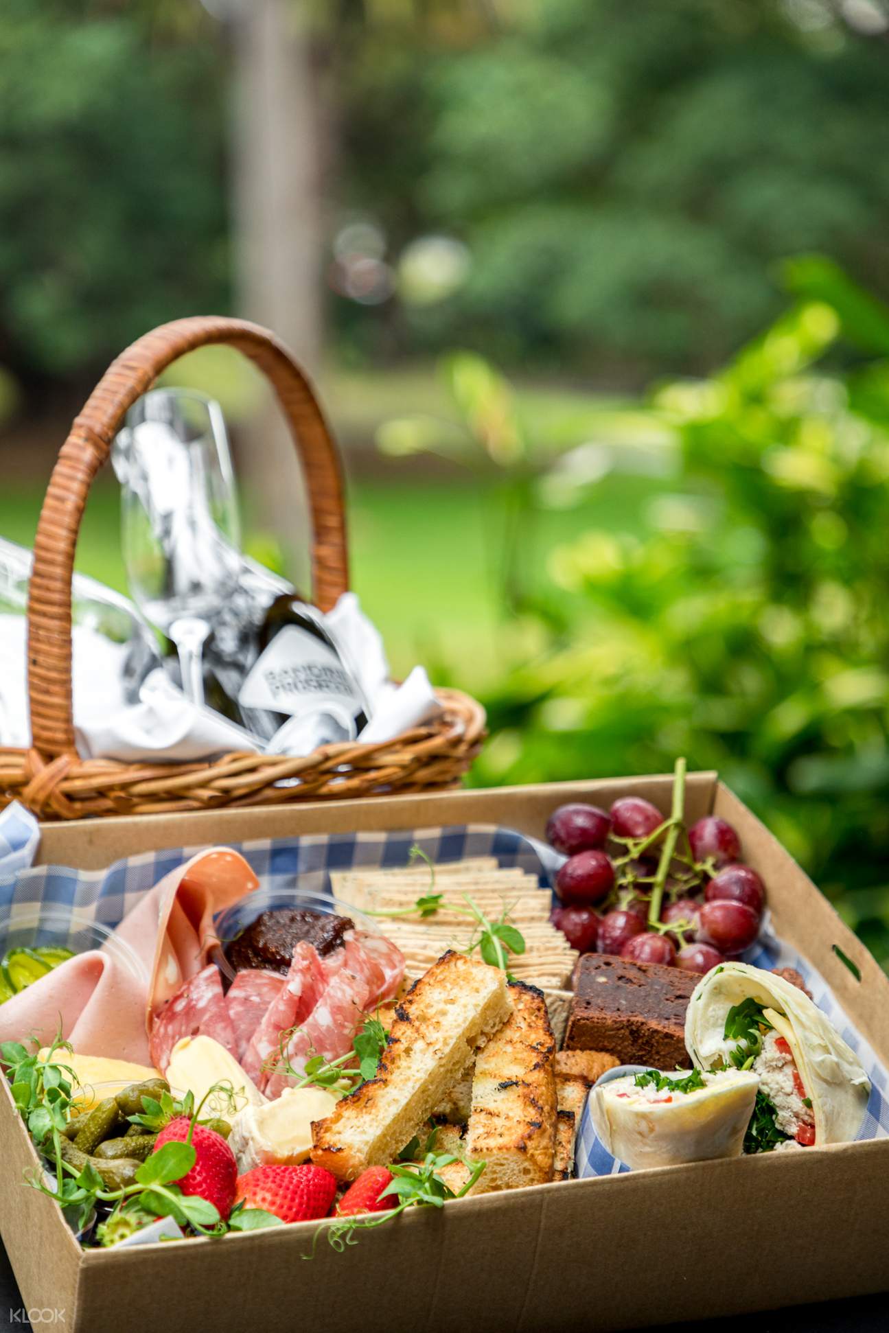 Rustic Italian Picnic in the Domain or Royal Botanic Gardens - Klook ...