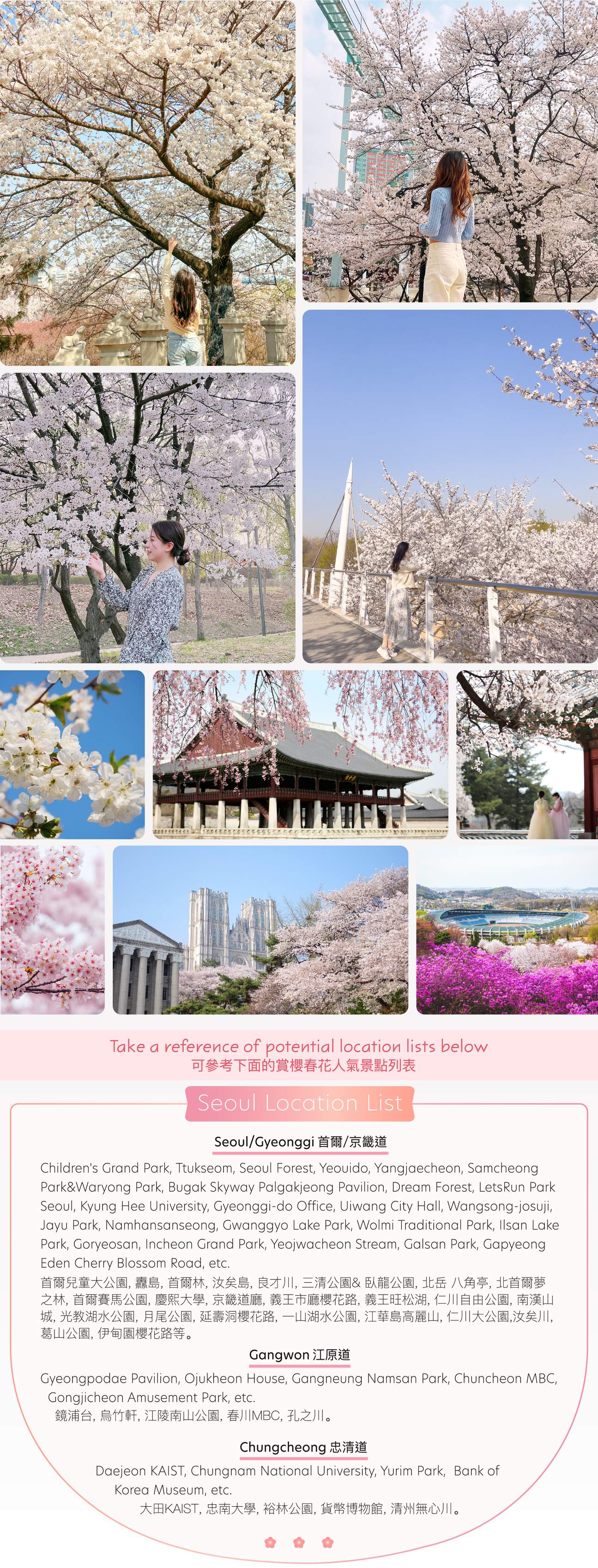 Lawatan Hari Memburu Cherry Blossom dari Seoul & Busan - Klook Amerika Syarikat