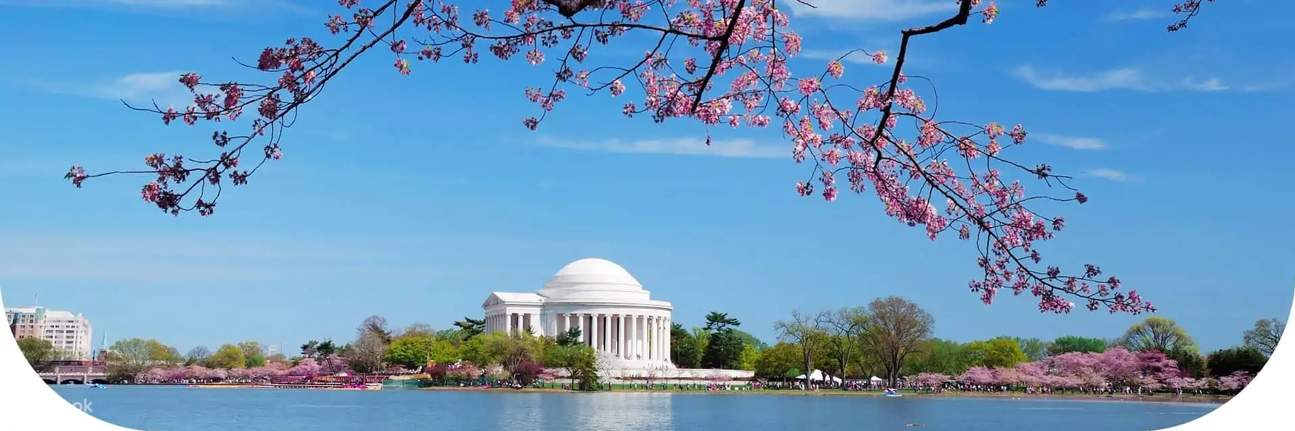 Cherry Blossoms Galore Bus Tour in Washington DC - Klook United States