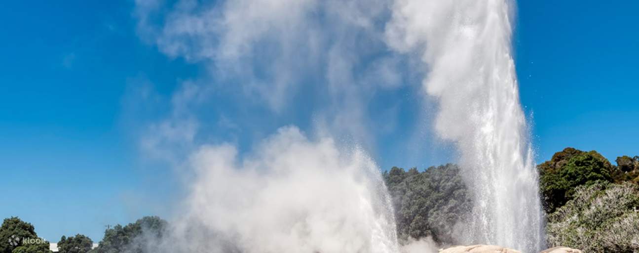 Waitomo and Rotorua Day Tour from Auckland with Te Puia - Klook