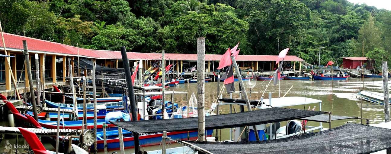 Penang Balik Pulau Day Tour - Klook Estados Unidos
