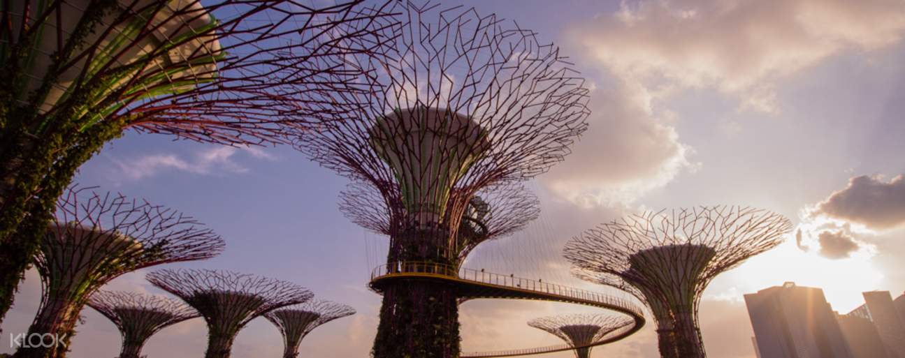 Singapore Gardens by the Bay Tickets (Cloud Forest & Flower Dome)